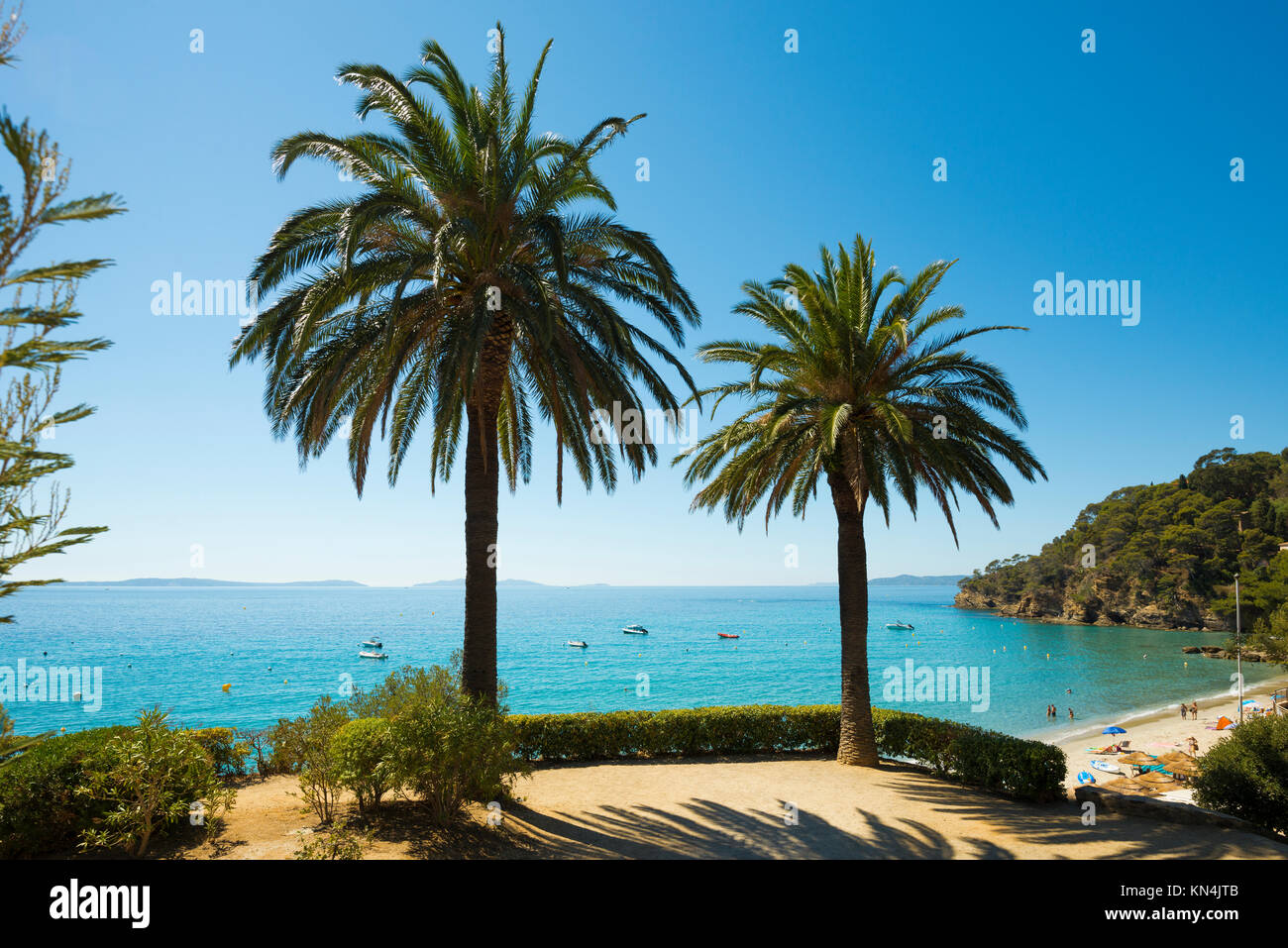 Viewing terrace with palm trees, Rayol-Canadel-sur-Mer, Var, Cote d ...