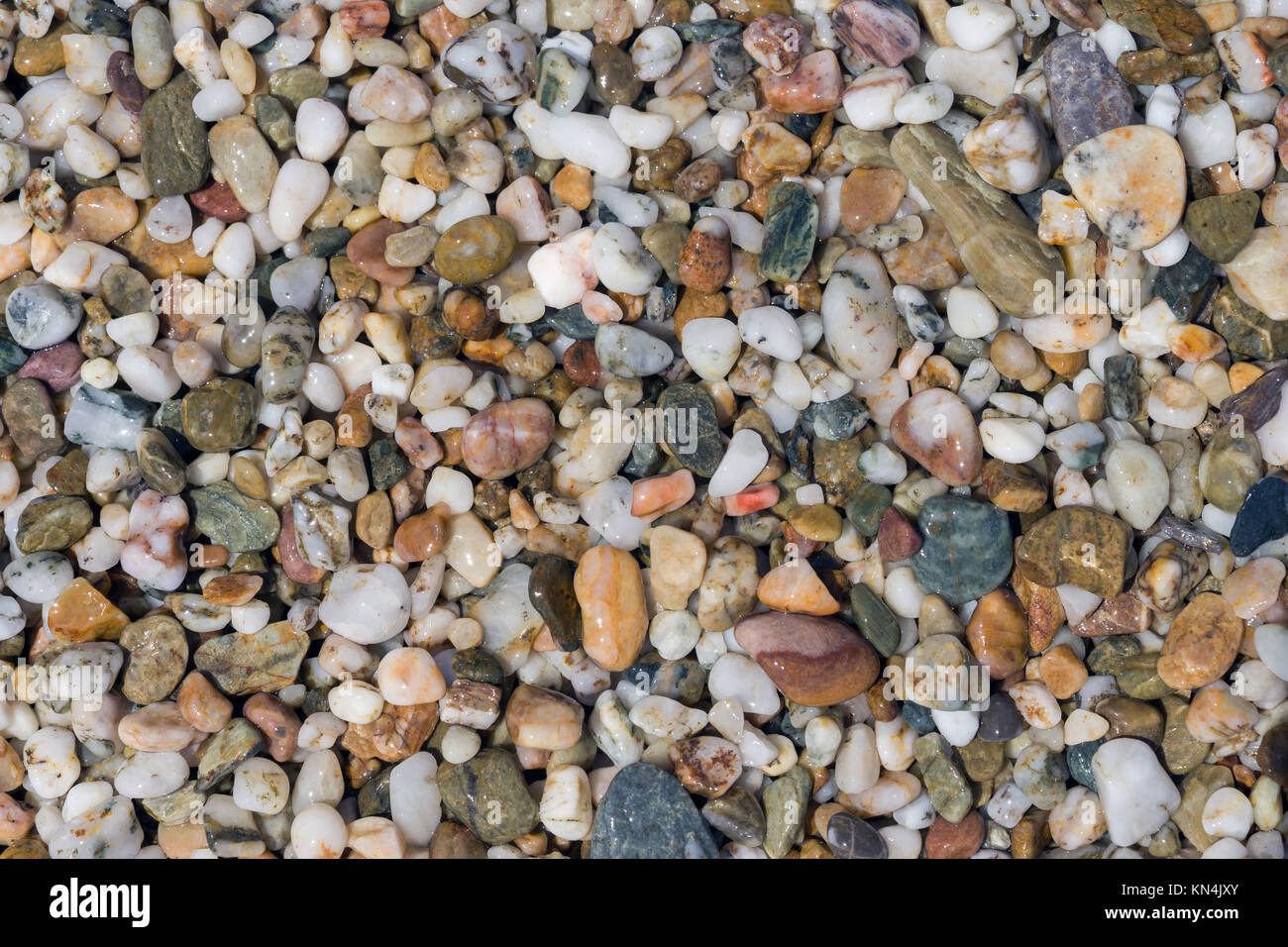 Multicolored colorful sea pebbles, natural background, texture Stock ...