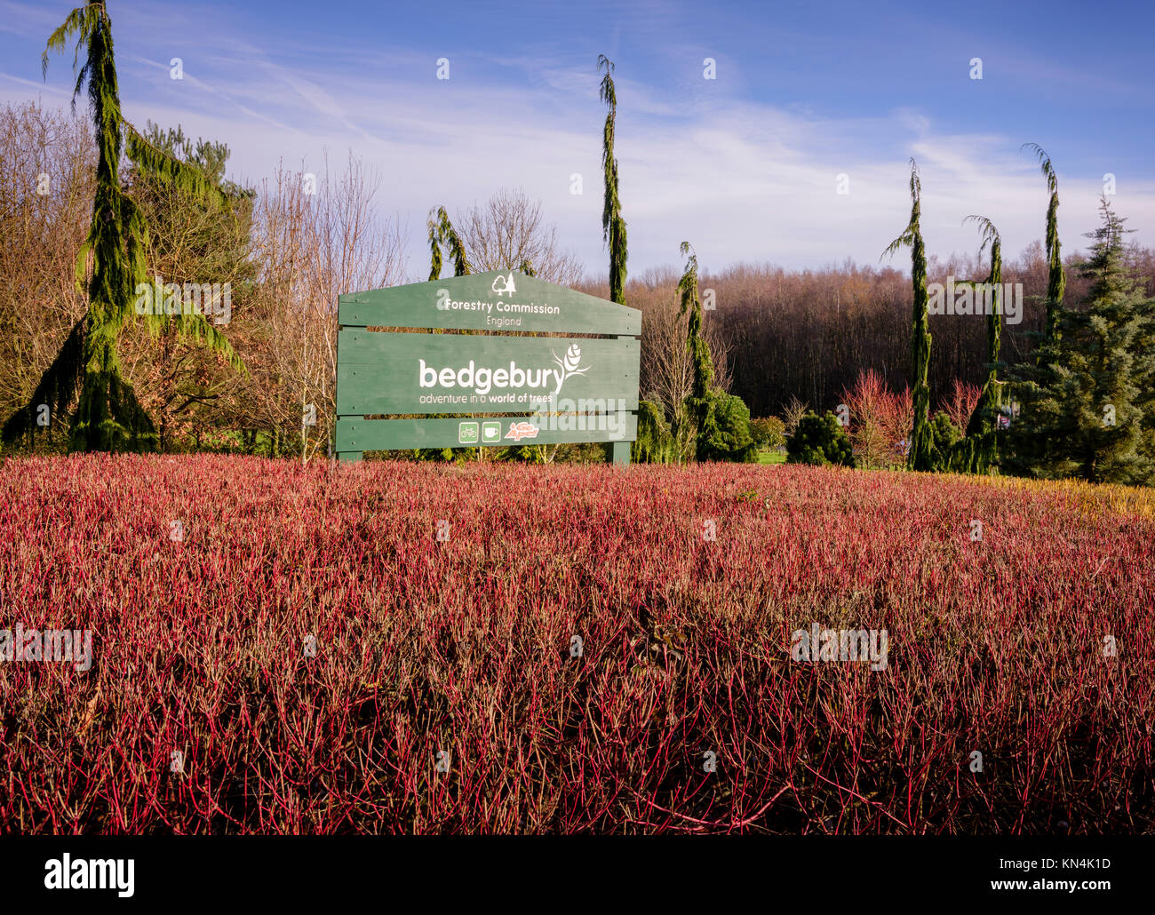 The entrance to the Bedgebury National Pinetum and Forest on the Sussex ...
