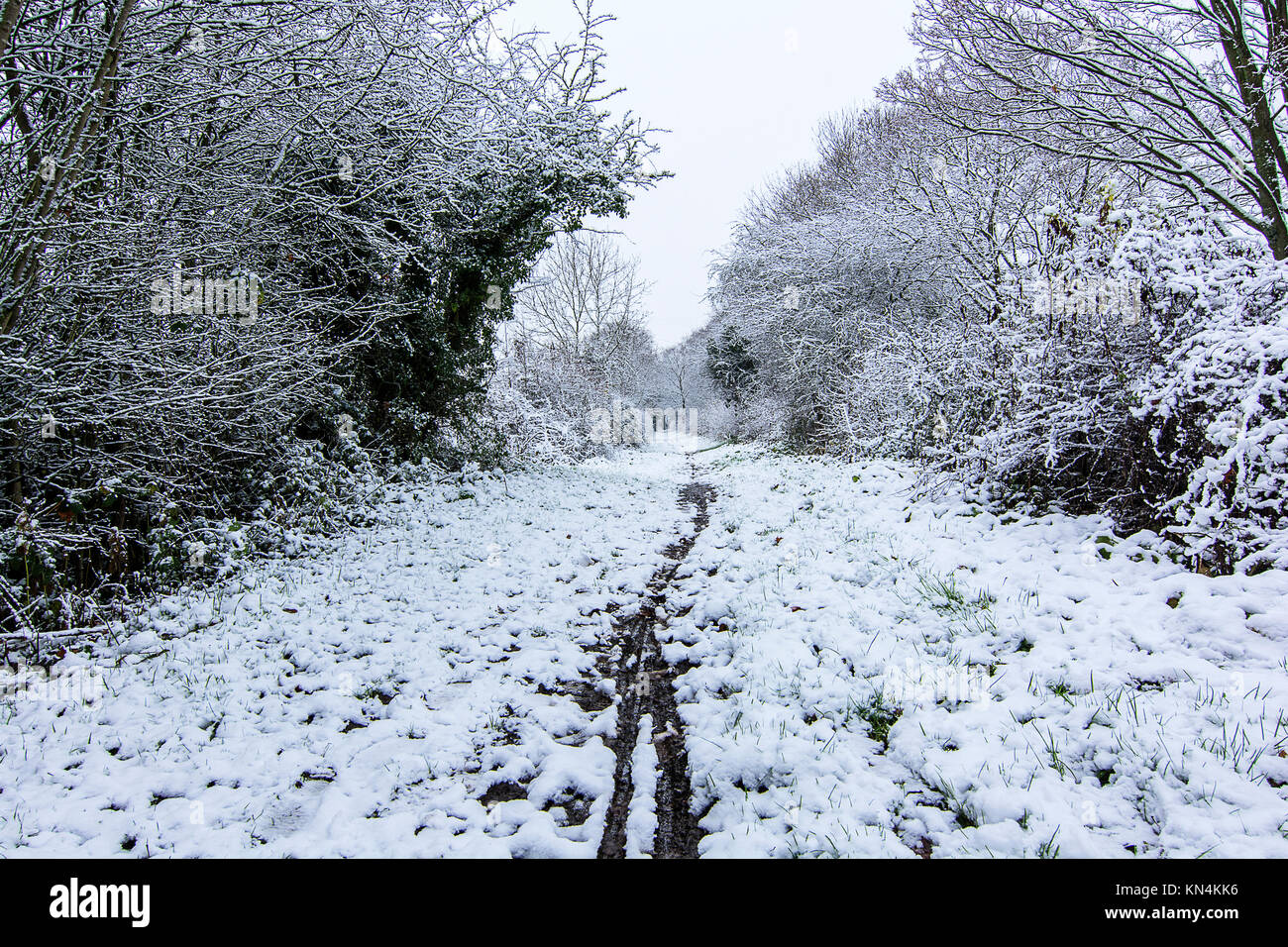 Wirral way footpath hi-res stock photography and images - Alamy