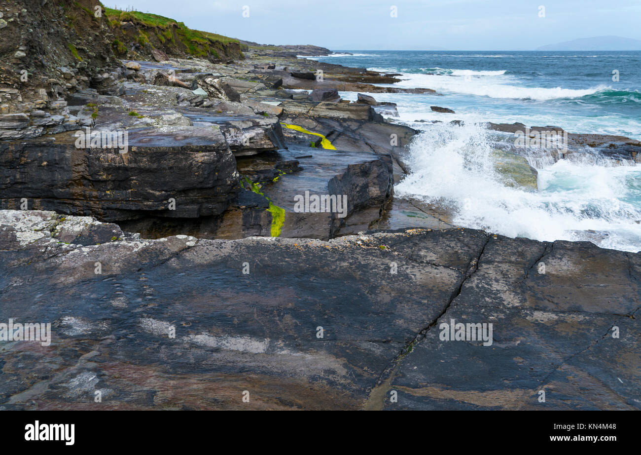 The valentia island tetrapod footprints hi-res stock photography and ...