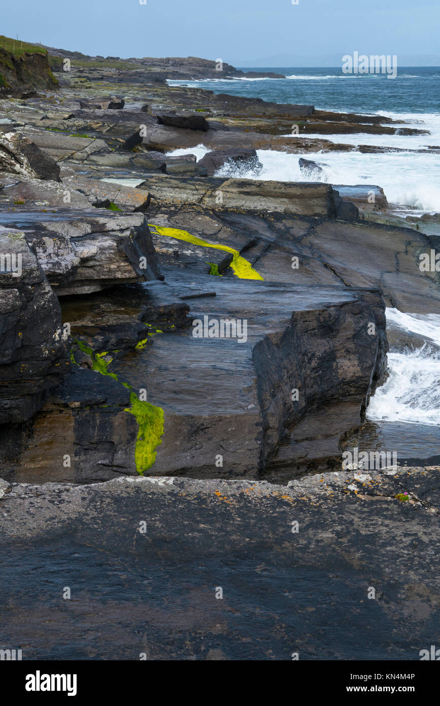 Tetrapod footprints, Valentia Island, Iveragh Peninsula, County Kerry ...