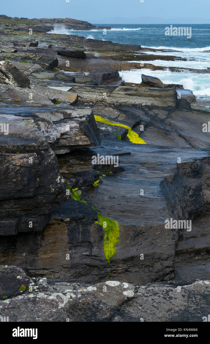 Tetrapod footprints, Valentia Island, Iveragh Peninsula, County Kerry ...
