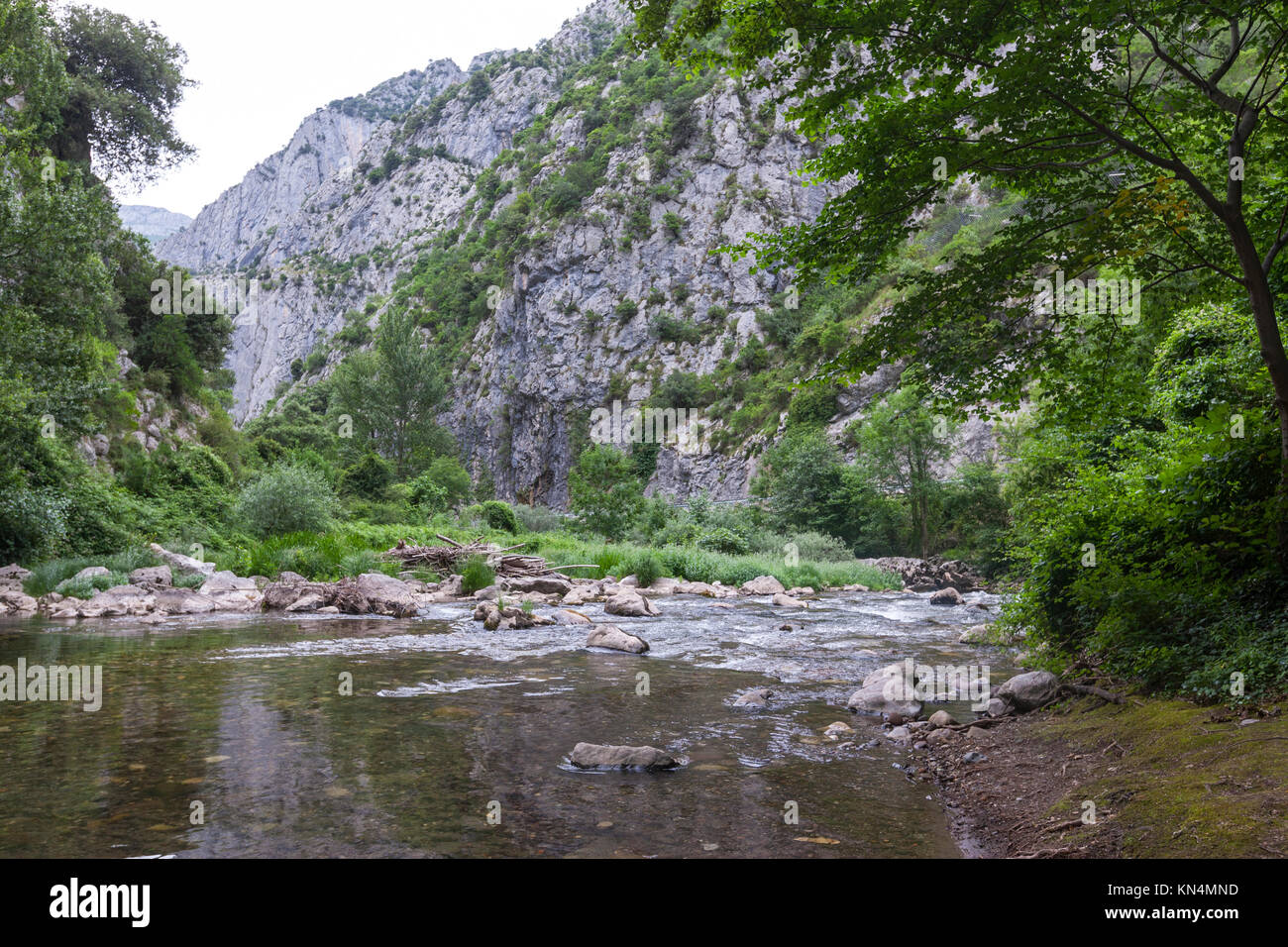 Desfiladero de la Hermida, Hermida gorge , Deva River, Picos de Europa ...