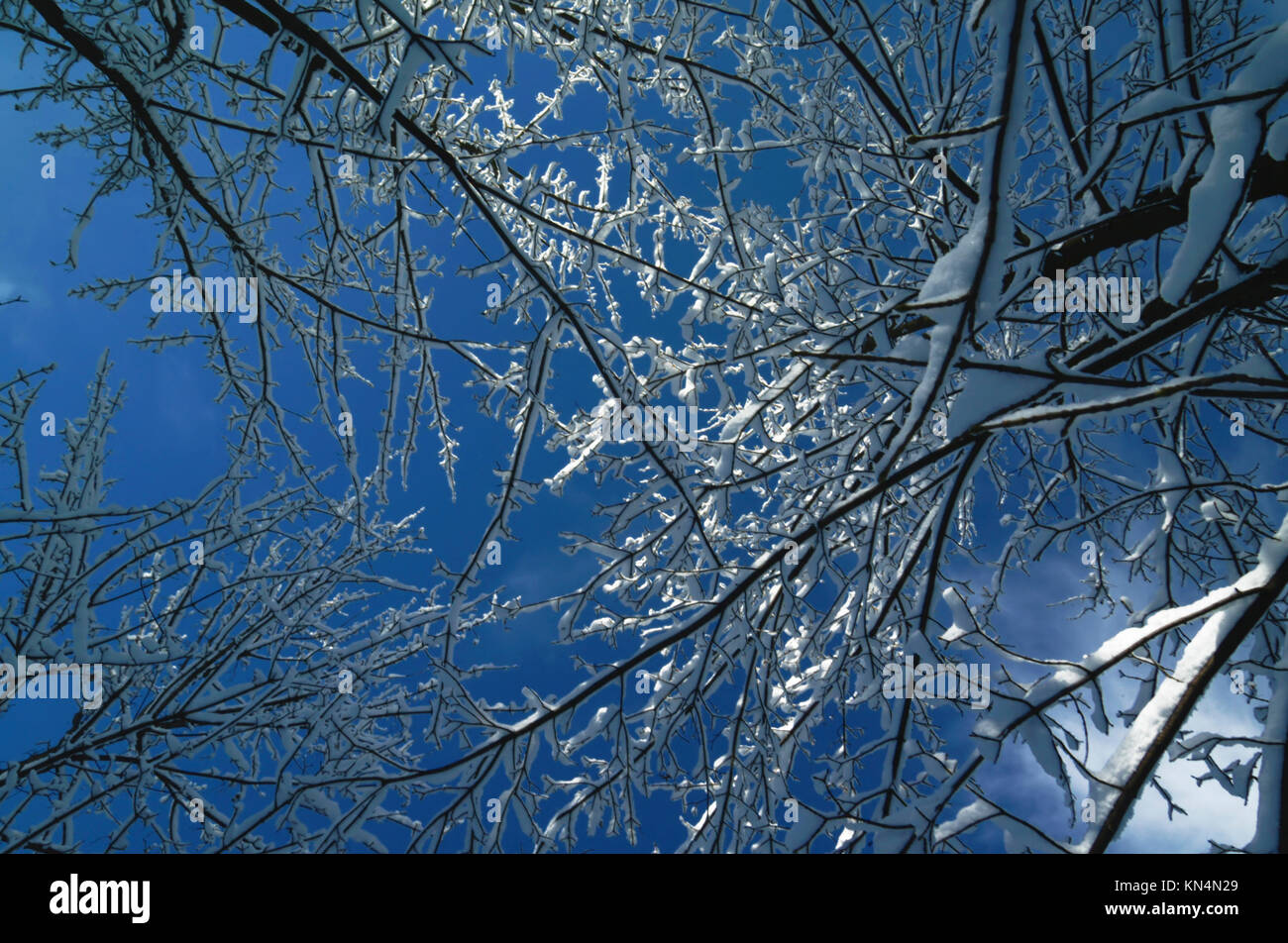 Asiago, Veneto. Italy Stock Photo - Alamy