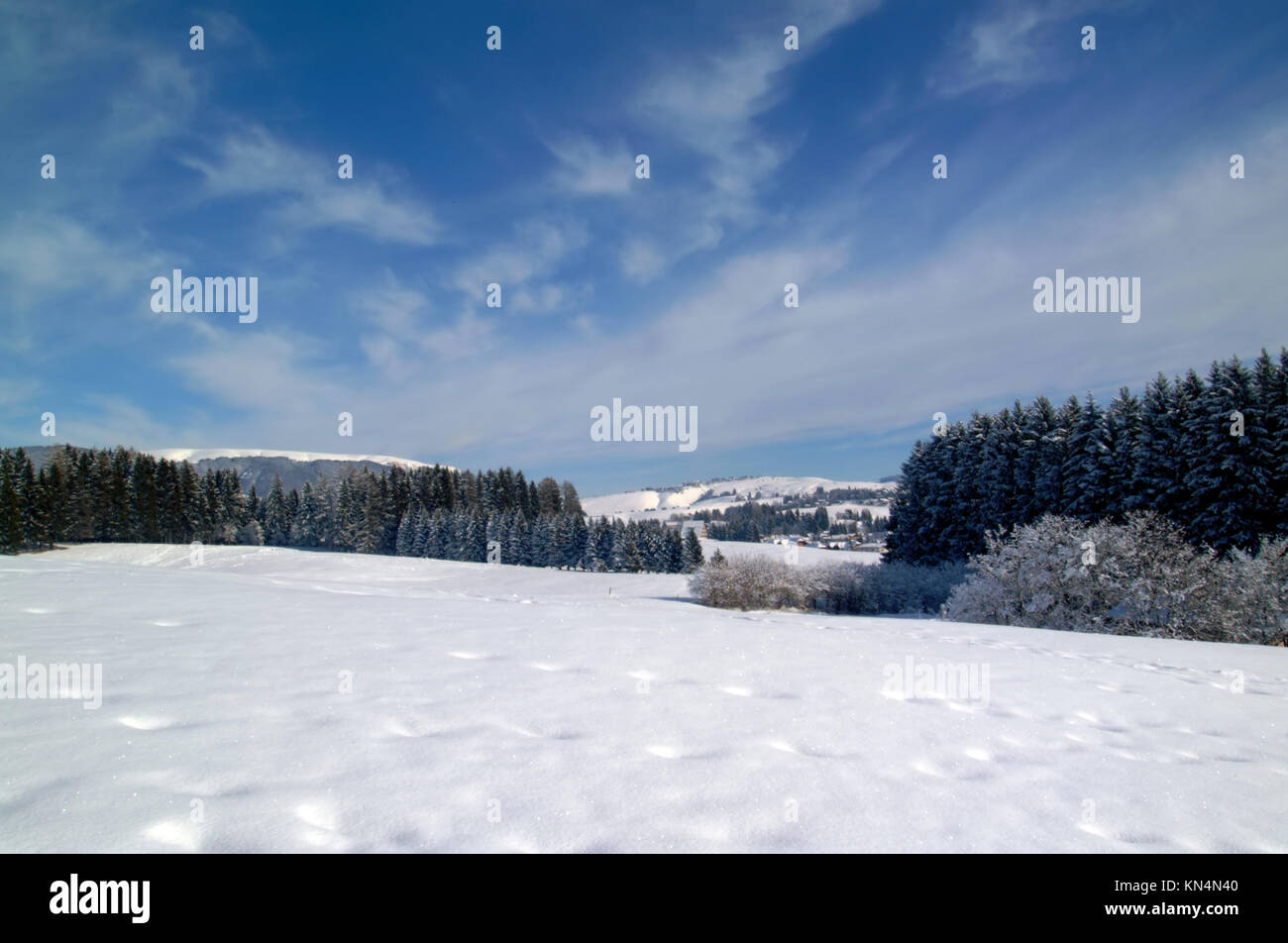 Altopiano Di Asiago High Resolution Stock Photography and Images - Alamy