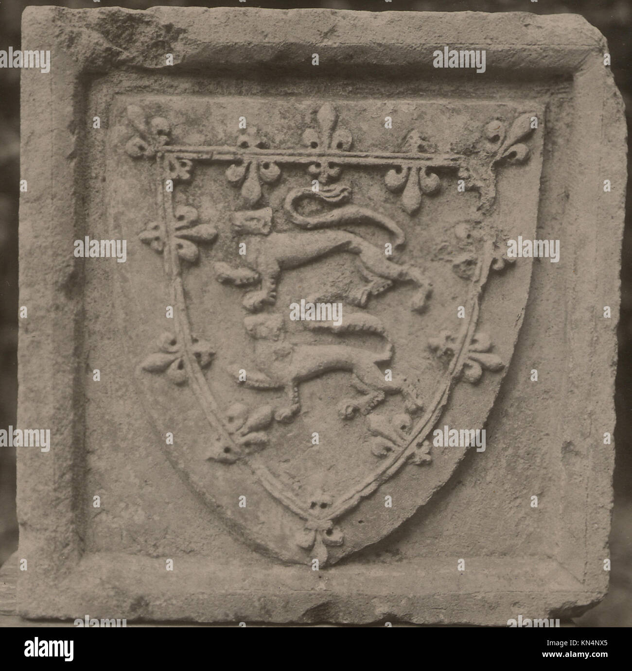 Medieval and Renaissance coat of arms with heraldic symbols ...