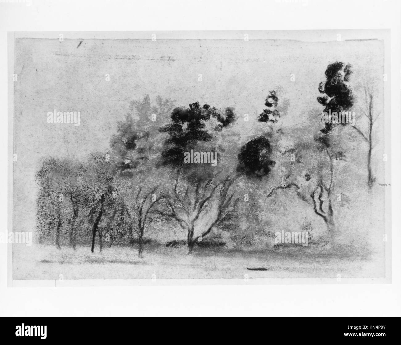 Autumn transformation Black and White Stock Photos & Images - Alamy