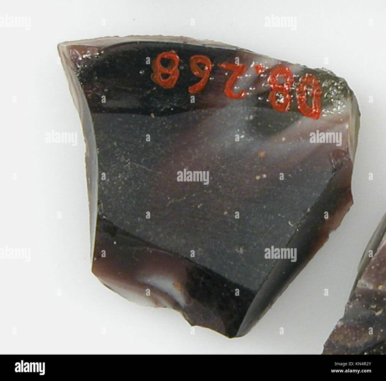 These glass fragments, likely from an ancient vessel, highlight early ...