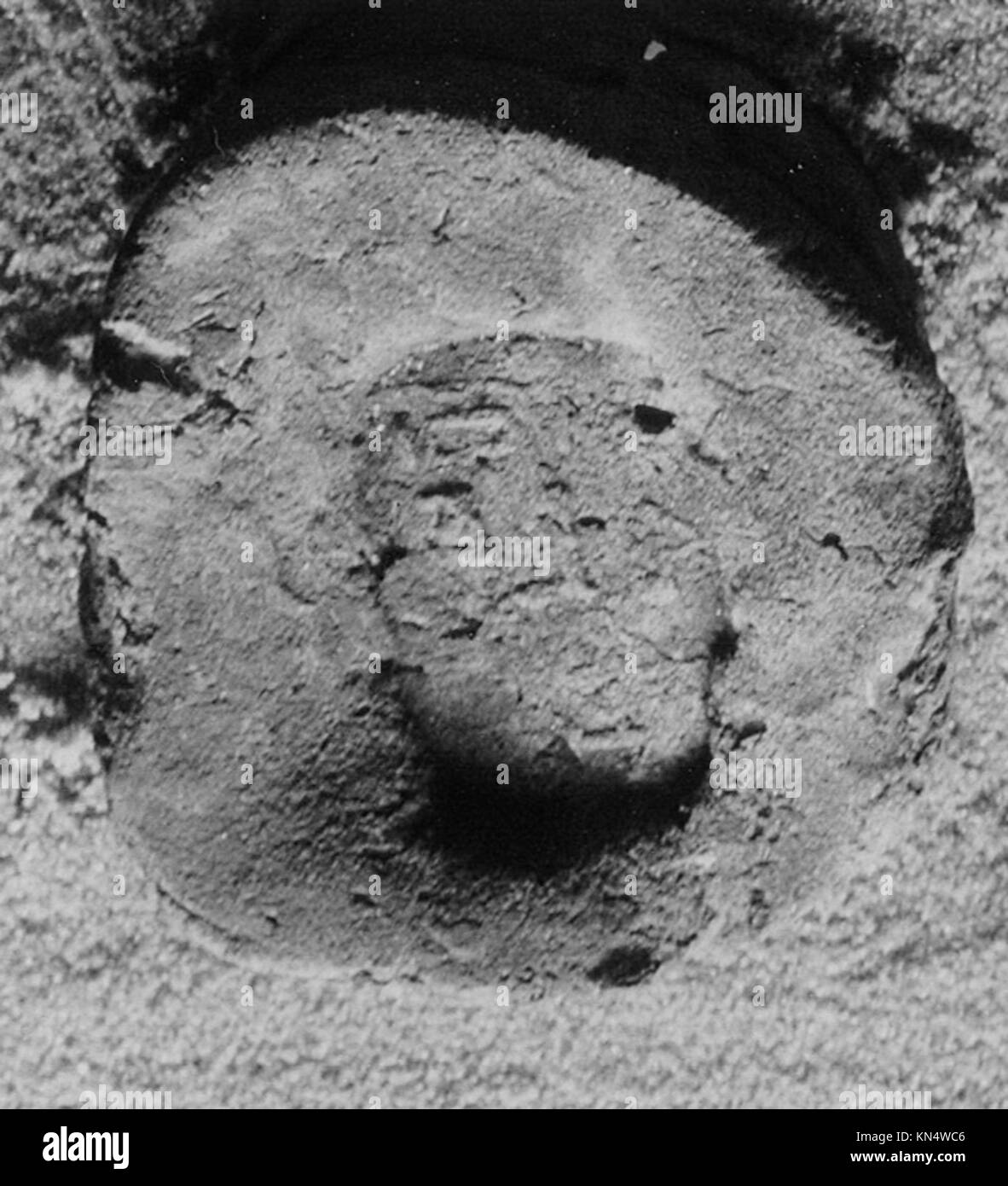 This funerary cone belonged to Abekh, a steward from ancient Egypt. It ...