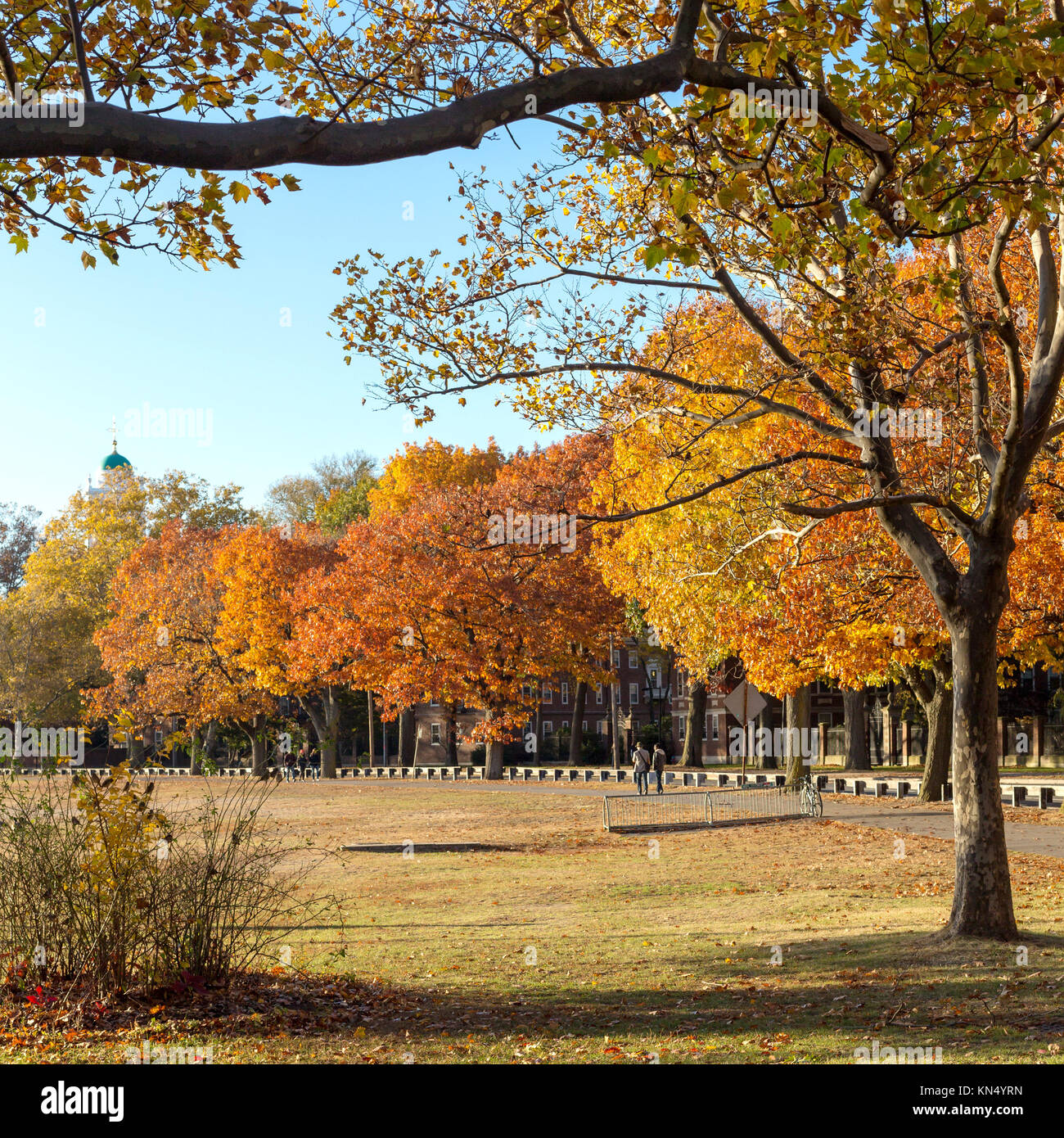 Harvard campus hi-res stock photography and images - Alamy