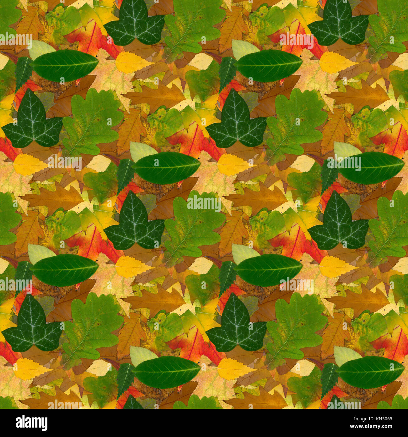 Leaf seamless background hi-res stock photography and images - Alamy