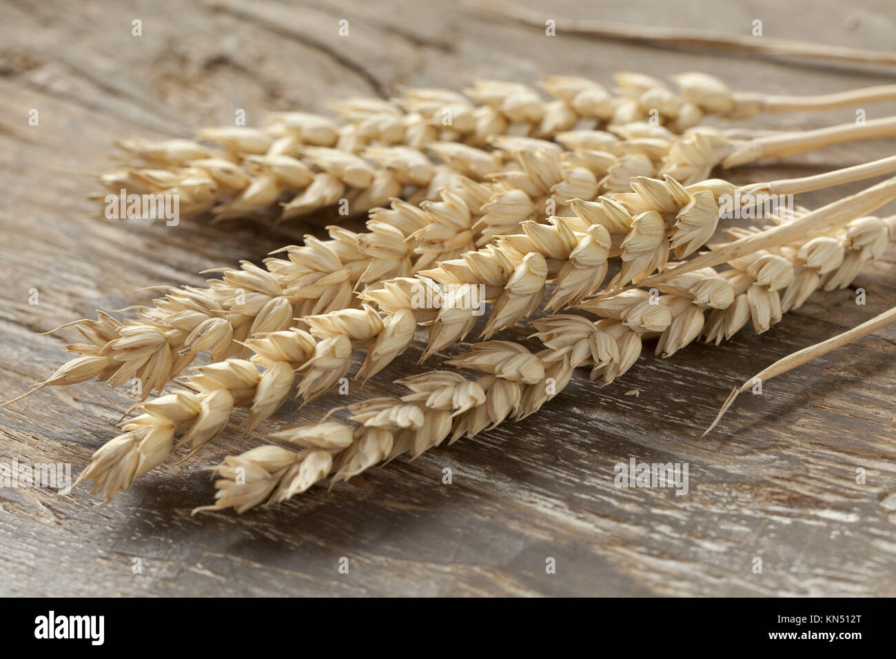 Dried wheat close up Stock Photo - Alamy