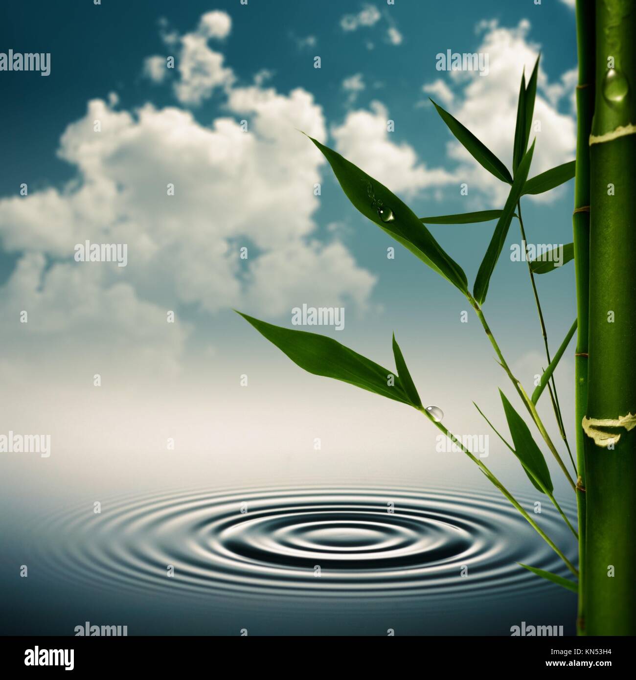 Environmental asian backgrounds with bamboo grass Stock Photo - Alamy