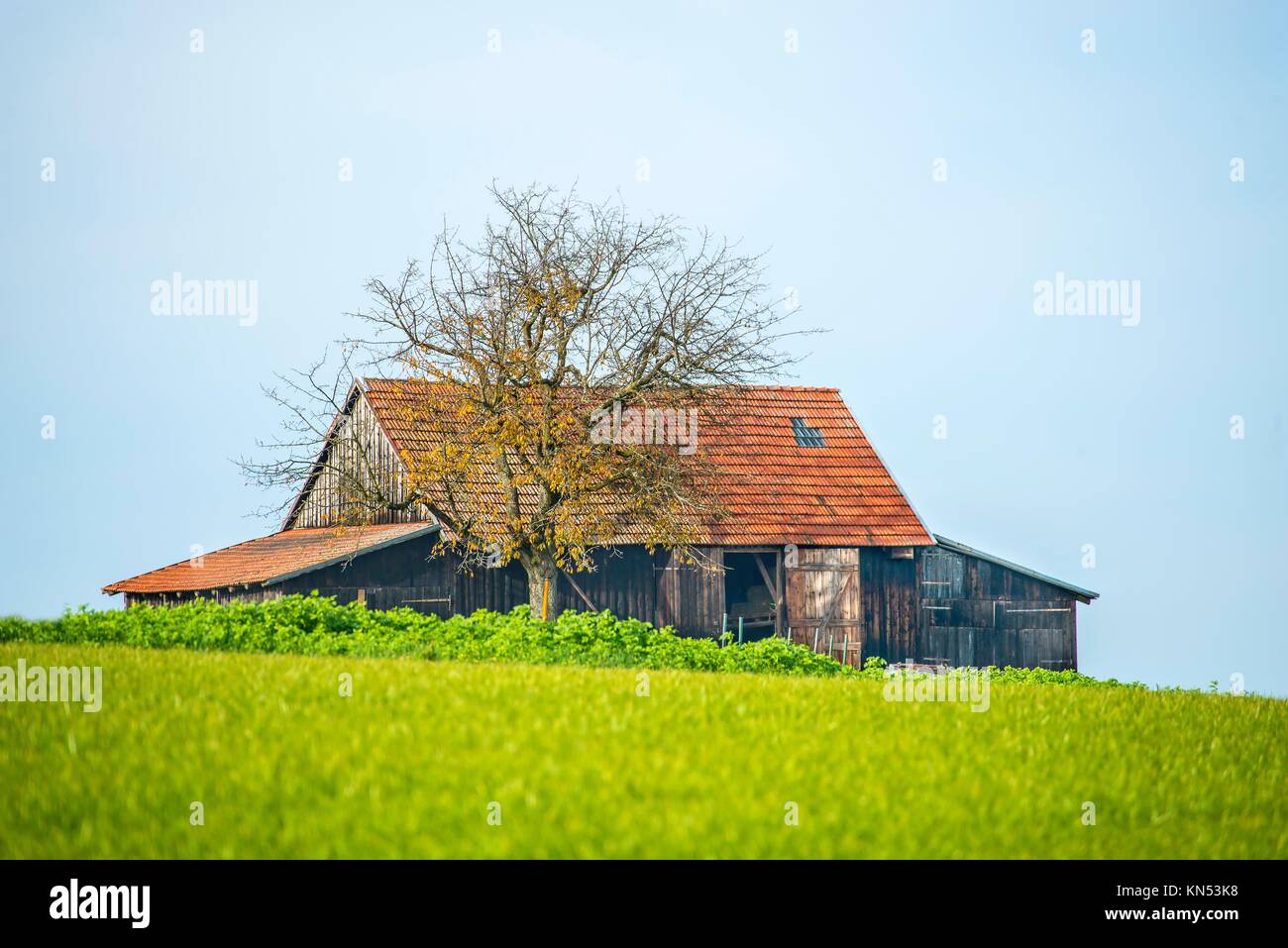 Barn plant hi-res stock photography and images - Alamy