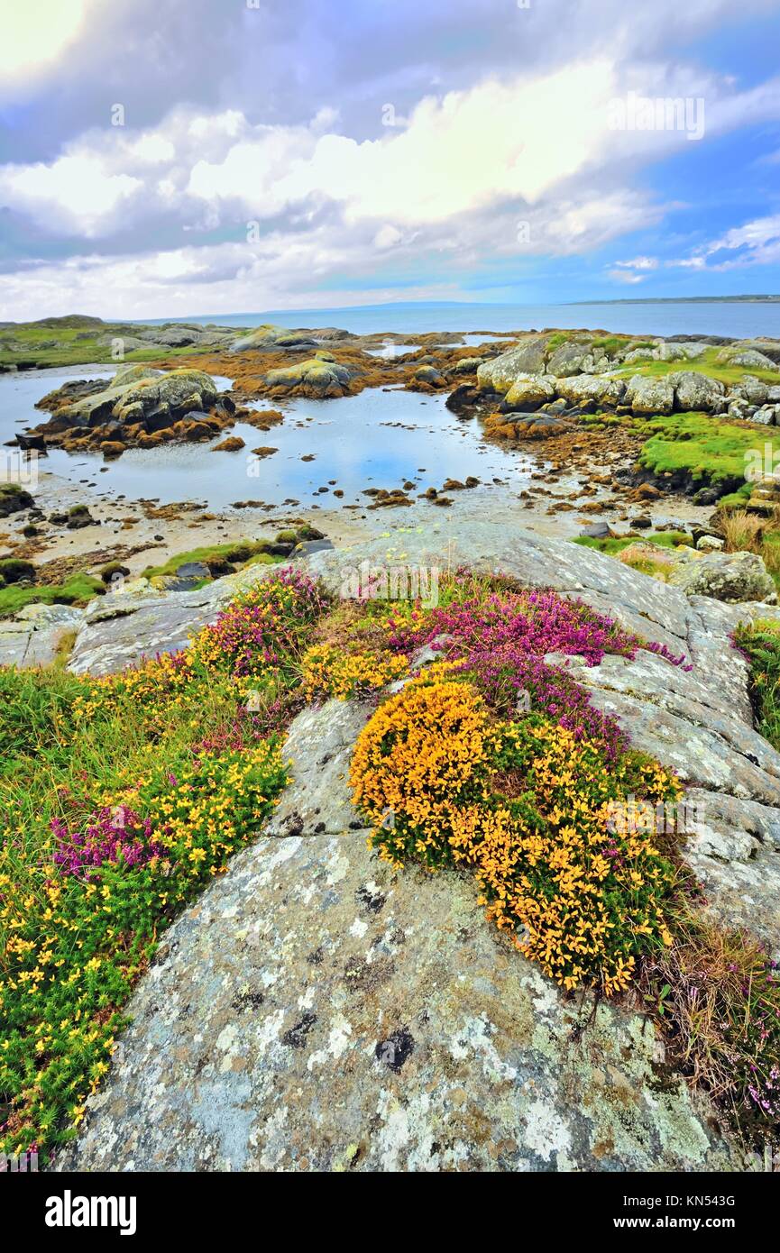 ireland landscape hdr shoot in summer time Stock Photo - Alamy