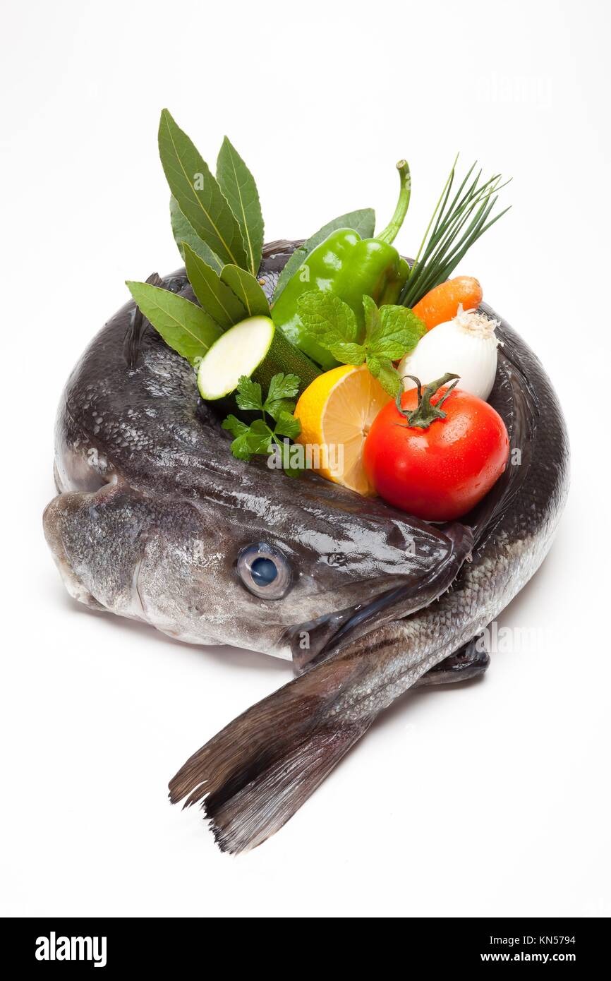 Tail hake hi-res stock photography and images - Alamy