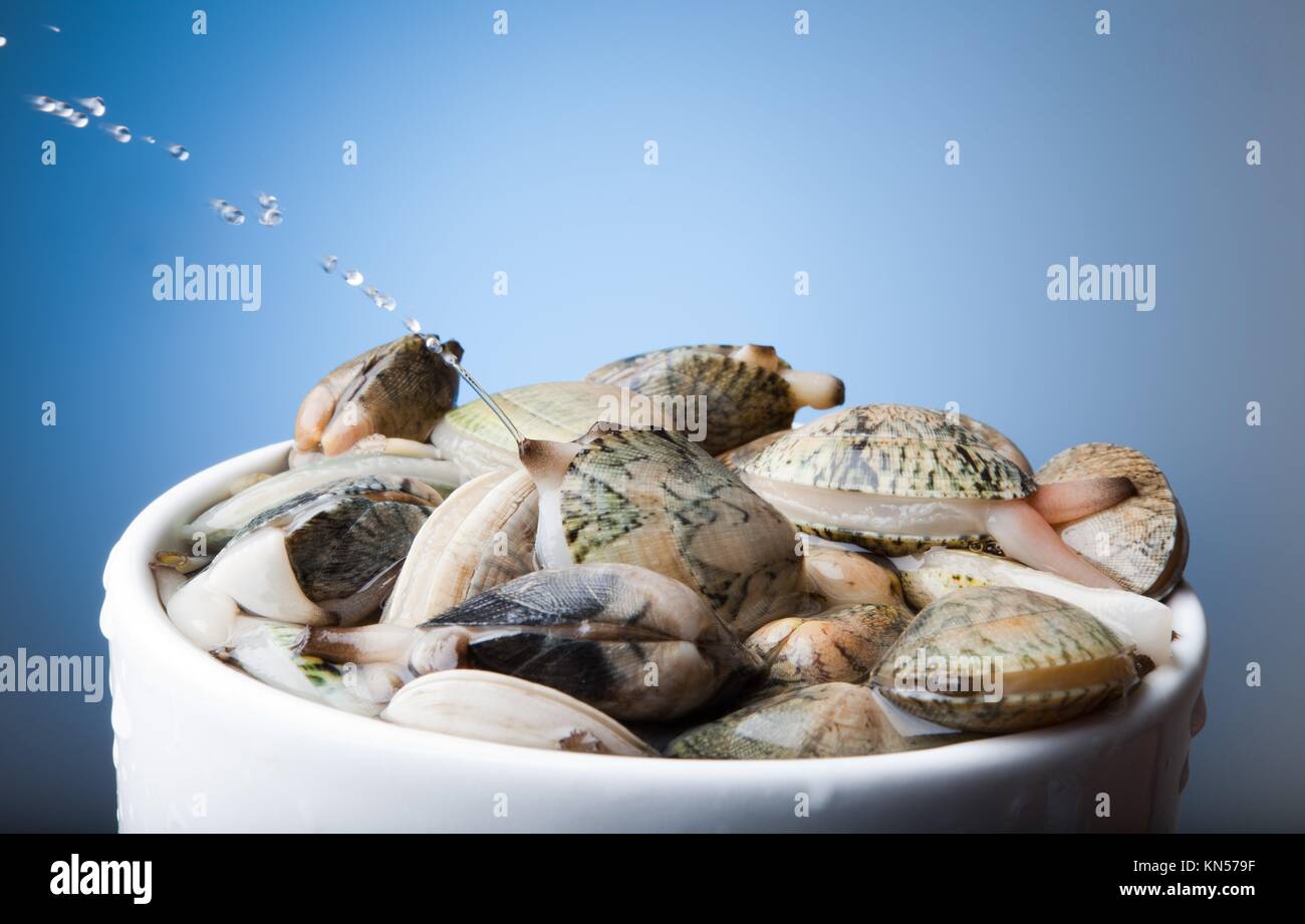 Clam siphon hi-res stock photography and images - Alamy