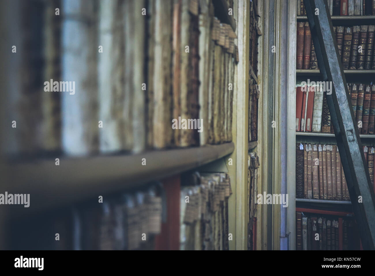 Old books on the shelves of a library Stock Photo - Alamy