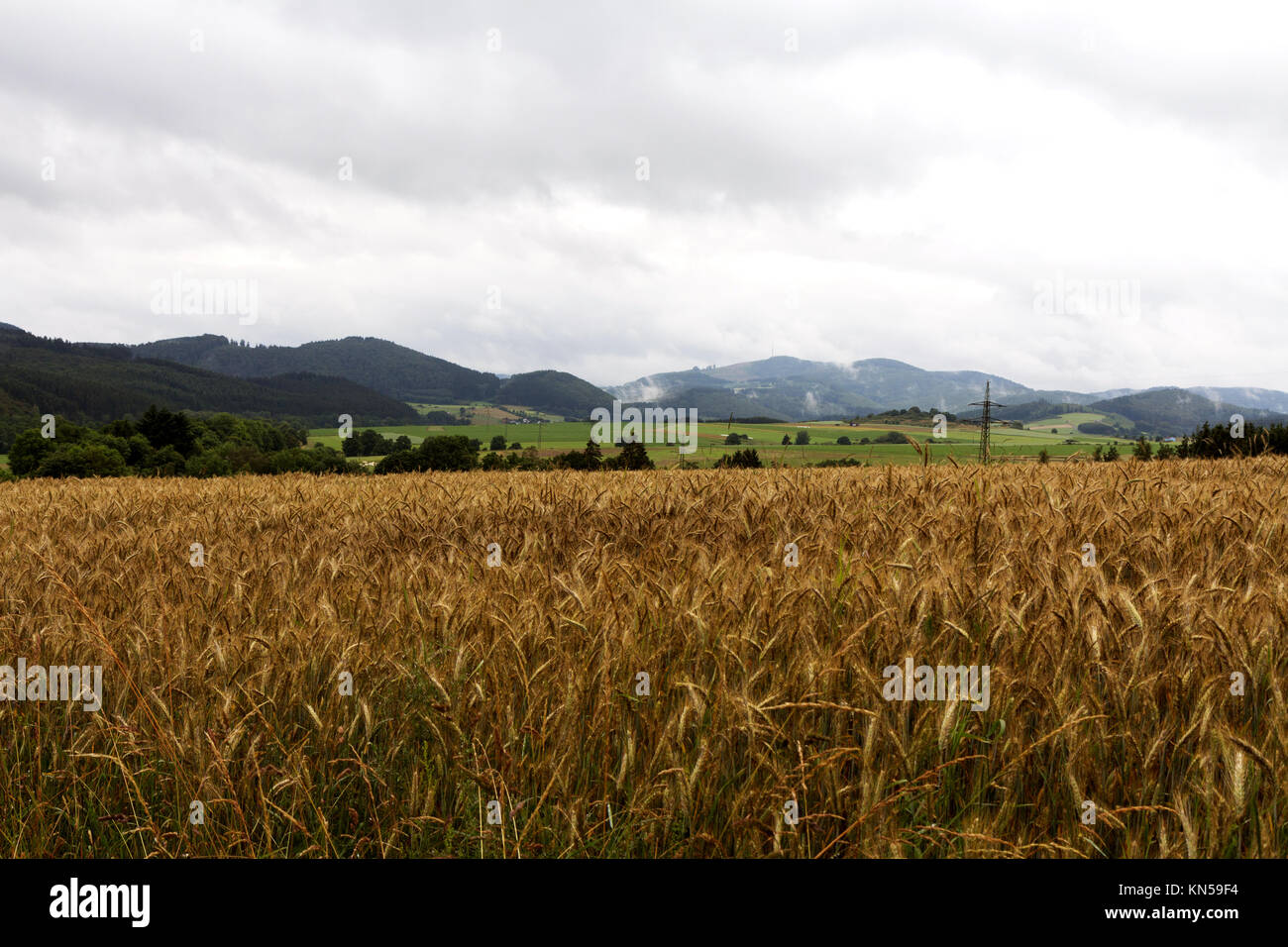 View over a field in Germany Stock Photo - Alamy