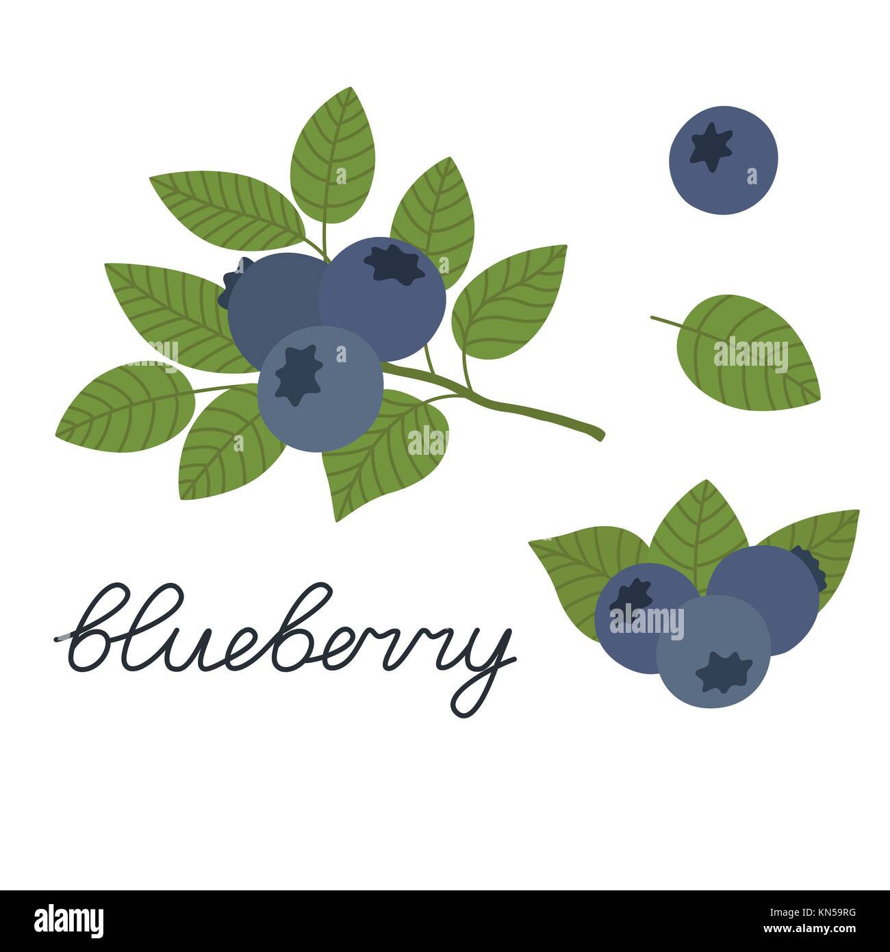 Vector blueberry, flat design Stock Vector Image & Art - Alamy