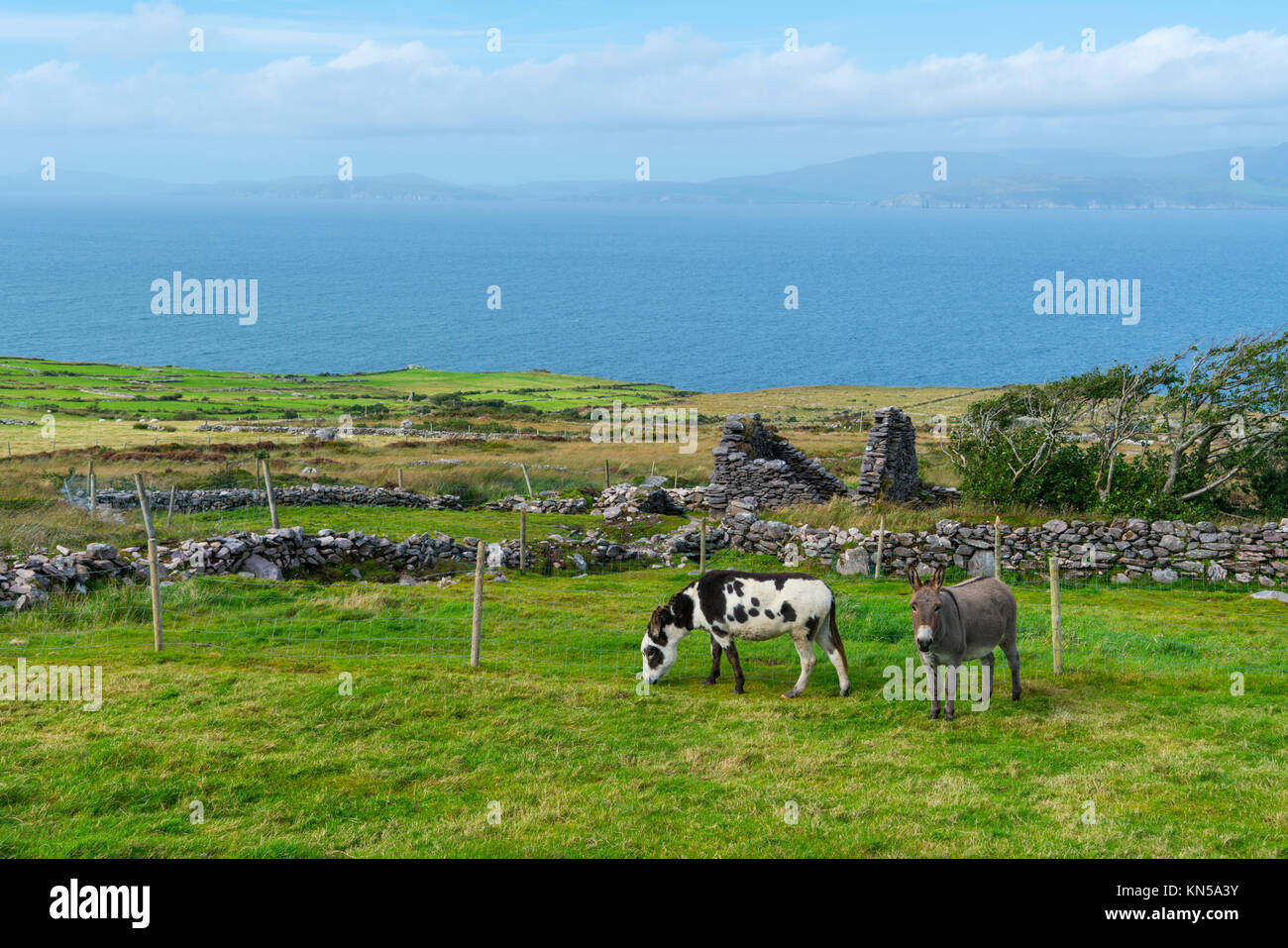 Kells Seaside Area, Ring of Kerry, Iveragh Peninsula, County Kerry ...