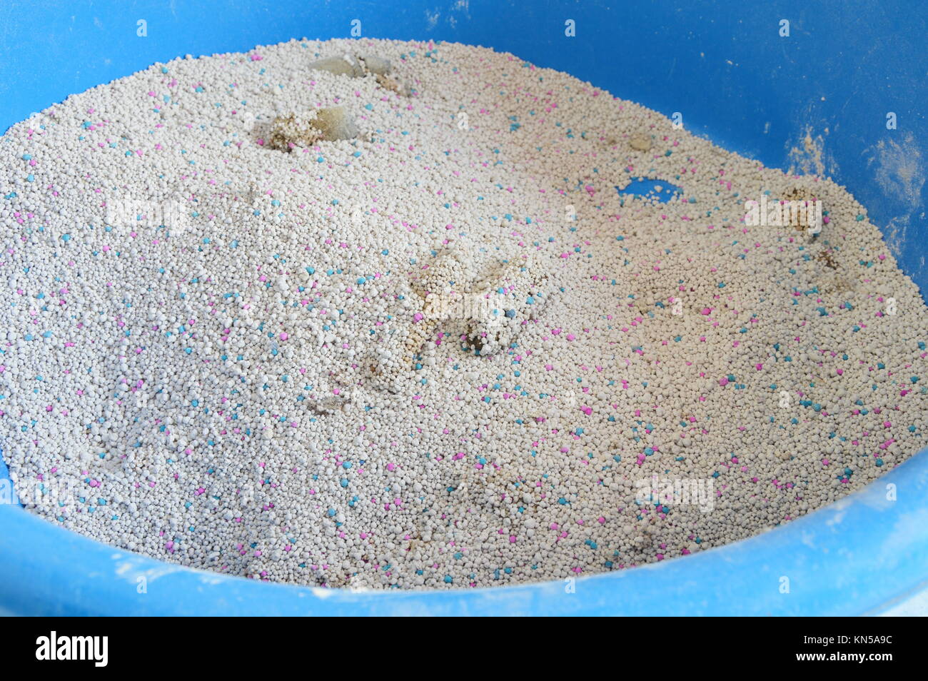cat litter already used in plastic basin Stock Photo - Alamy