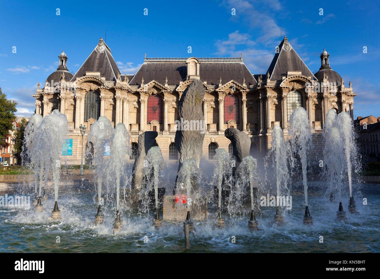 Lille museum fine arts hi-res stock photography and images - Alamy