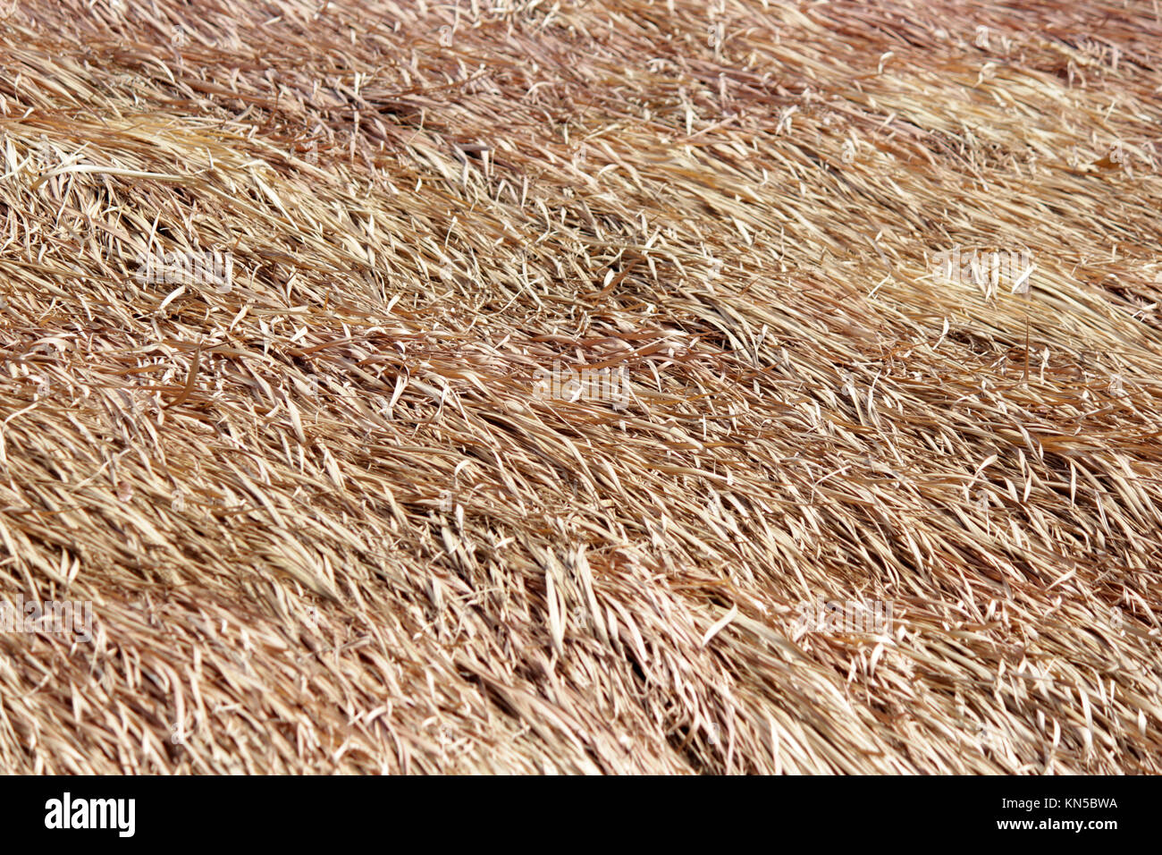 thatched roof of a cottage made from dry grass as background Stock ...