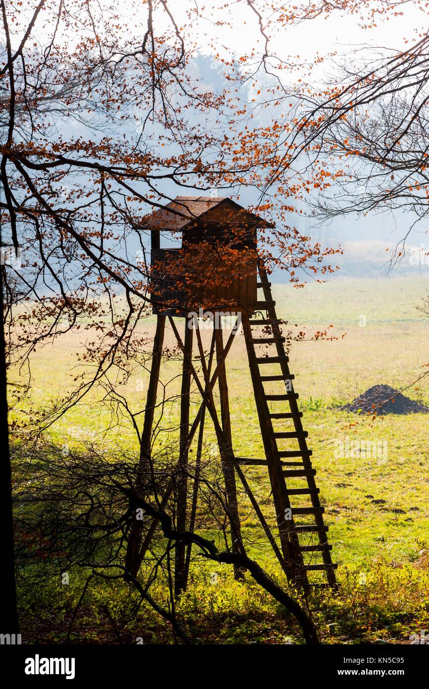 Hunting high seat hi-res stock photography and images - Alamy