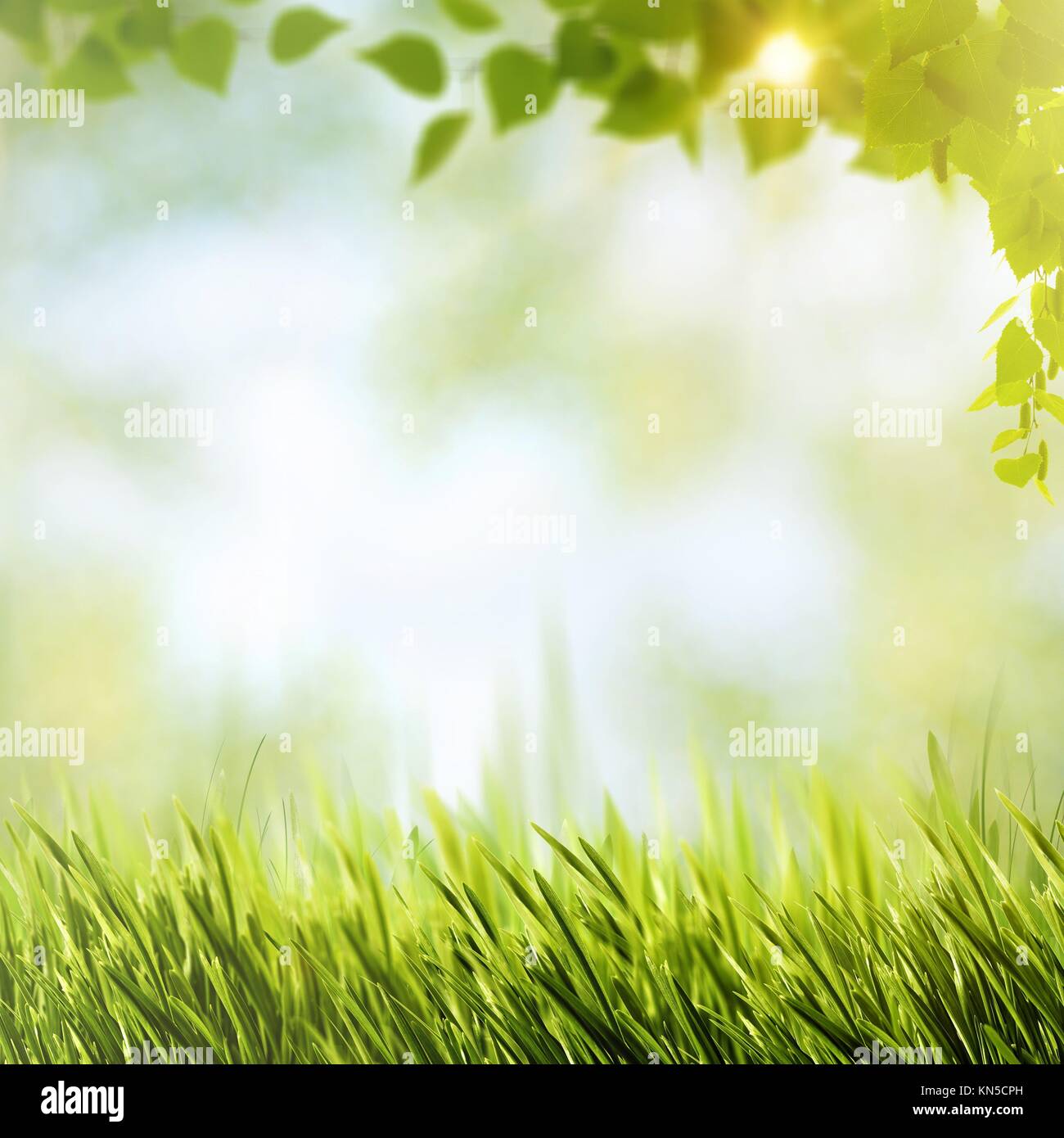 Bright Backgrounds Nature