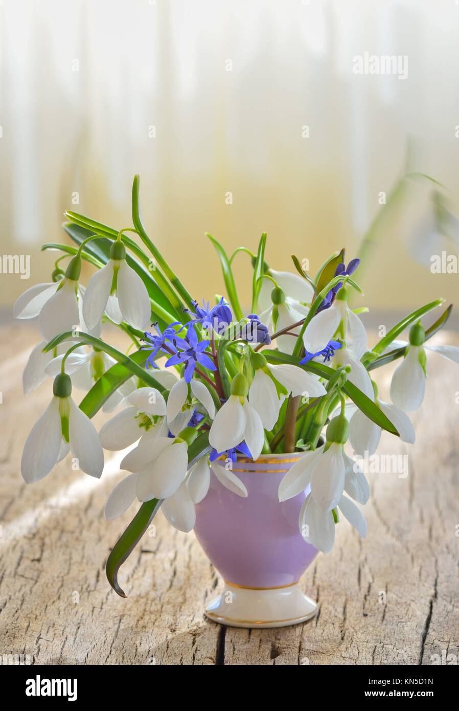 snowdrops in vase on old wood Stock Photo - Alamy