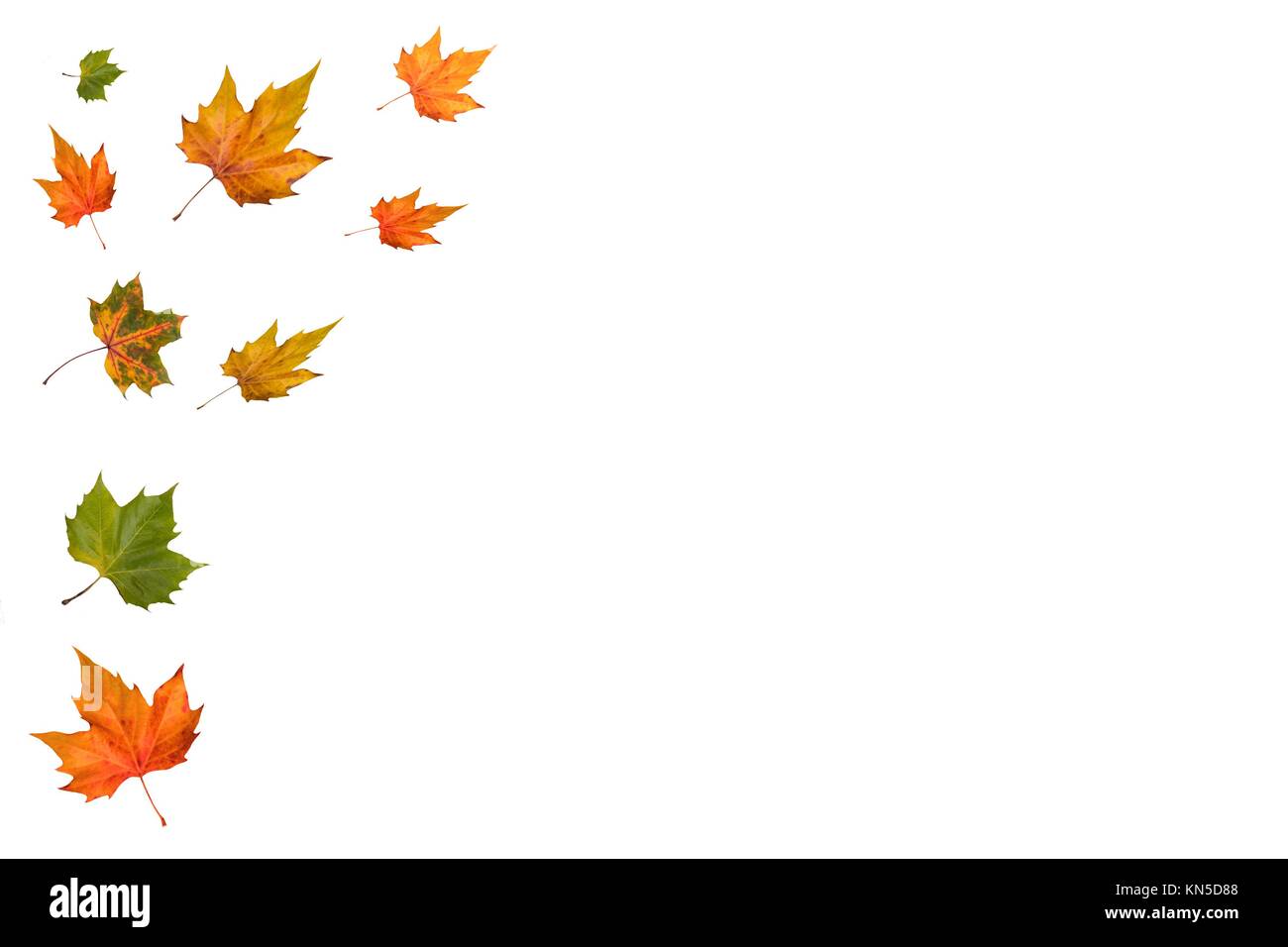 Falling autumn leaves hi-res stock photography and images - Alamy