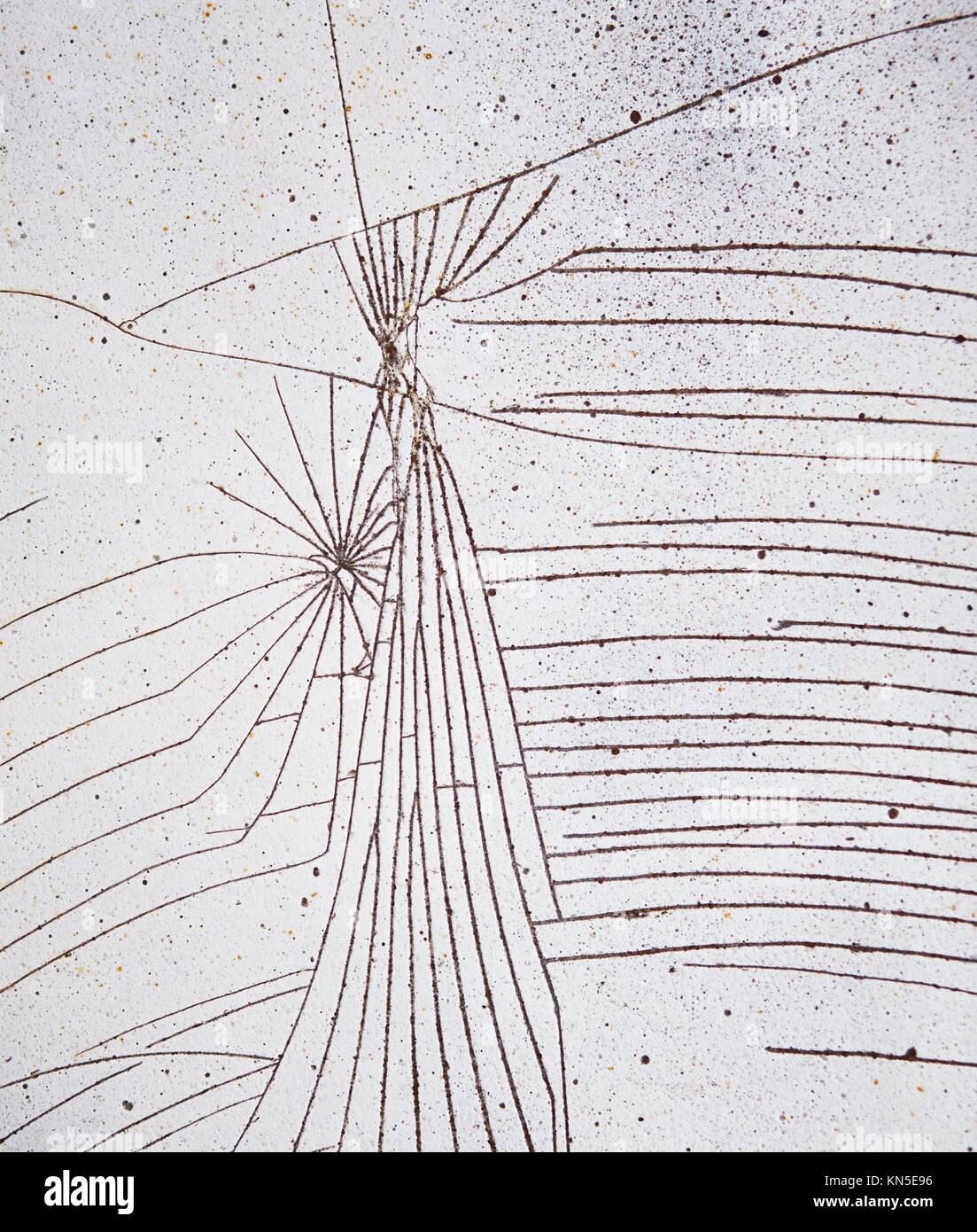 Enamel structure hi-res stock photography and images - Alamy