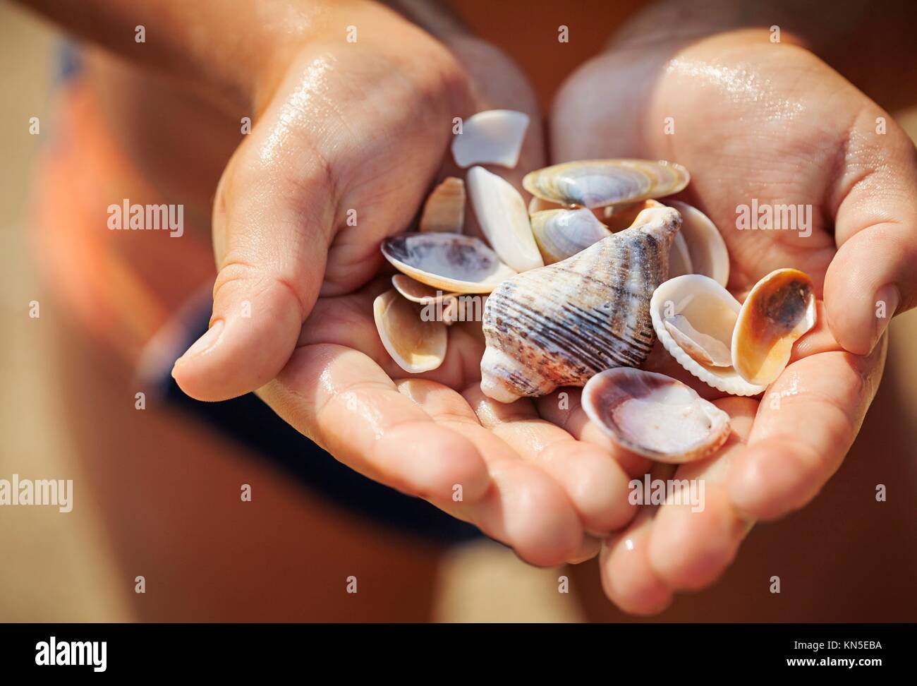 Child shell hi-res stock photography and images - Alamy
