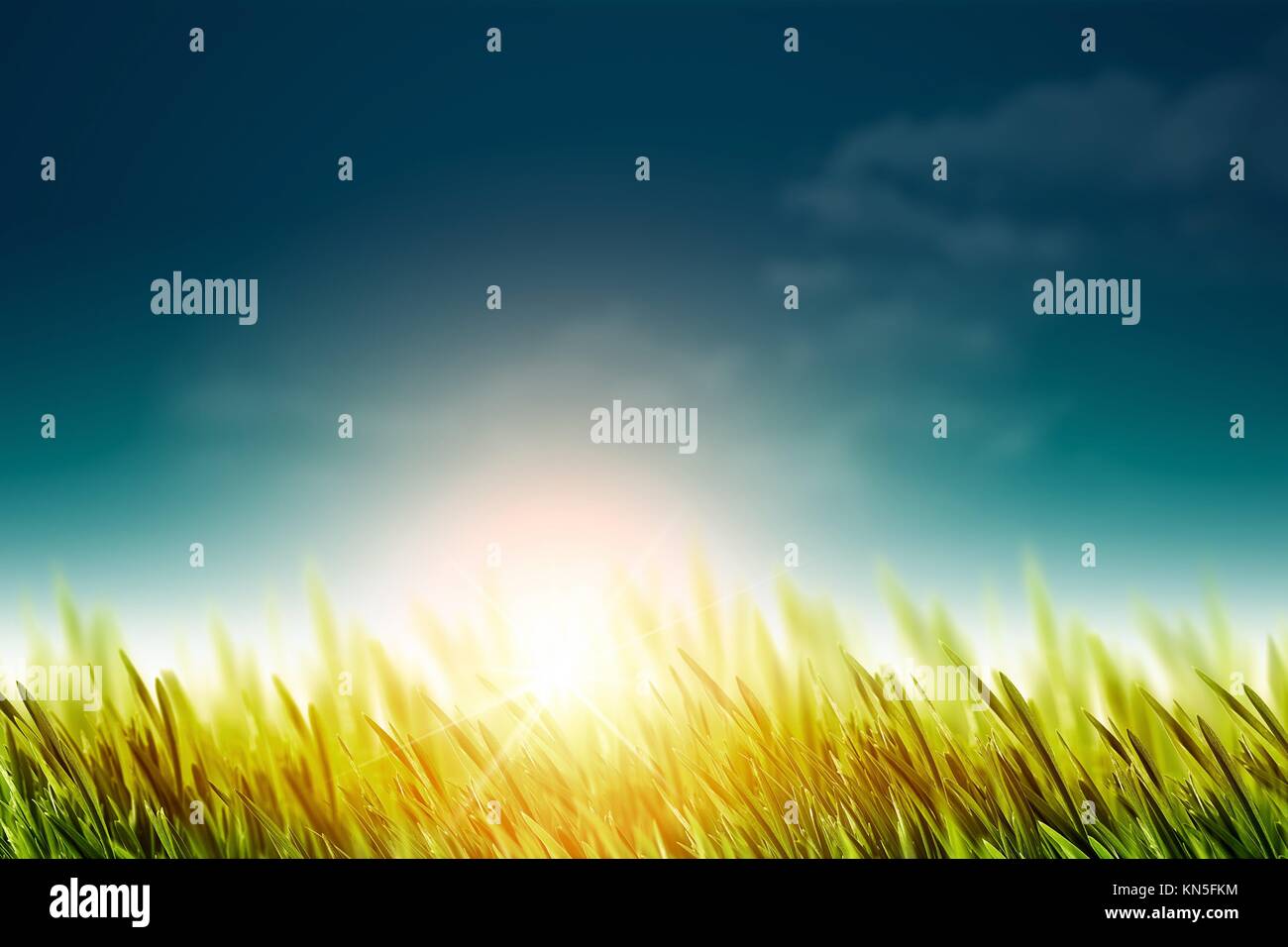 Bright natural beauty hi-res stock photography and images - Alamy