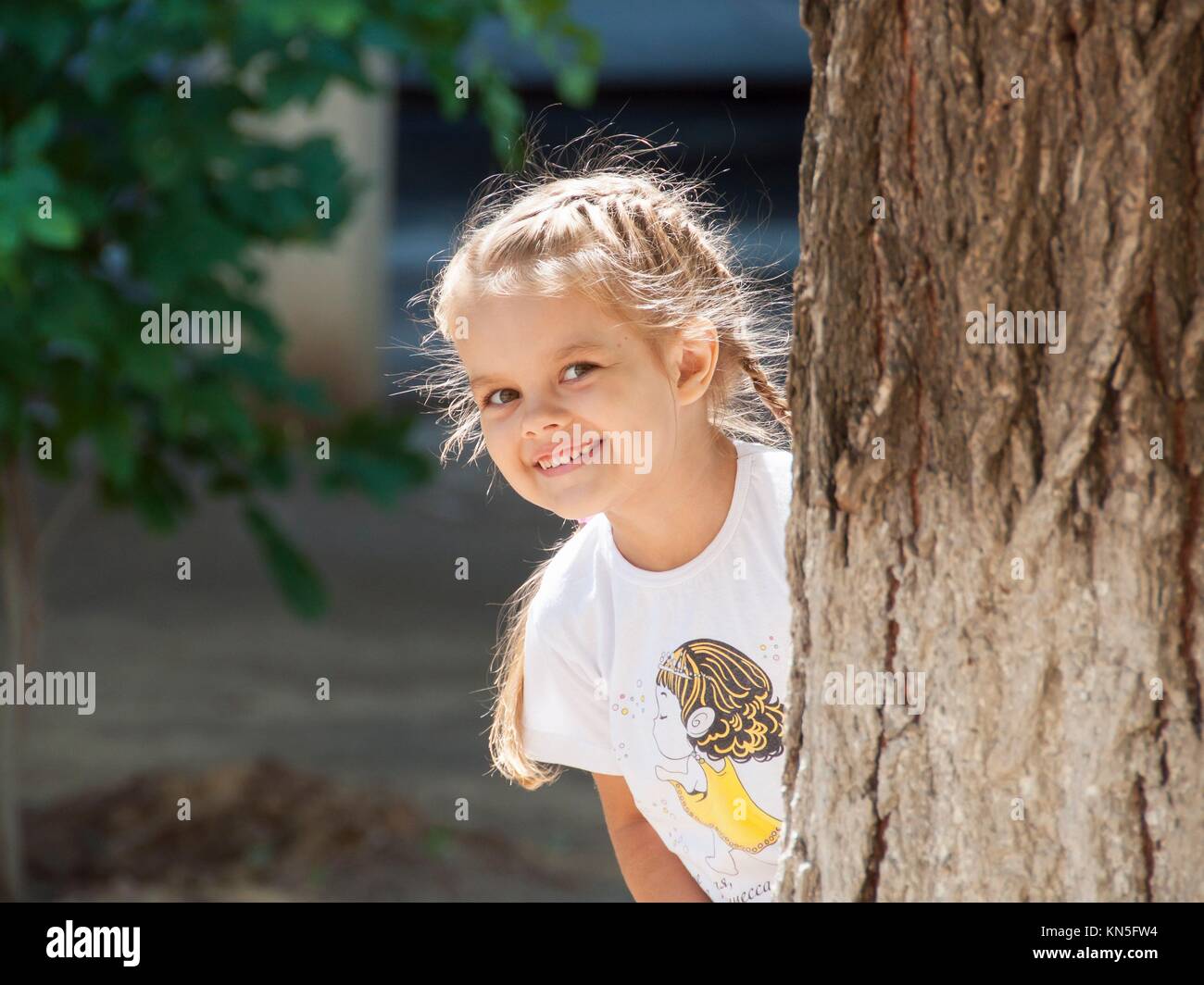 Peeked out hi-res stock photography and images - Alamy