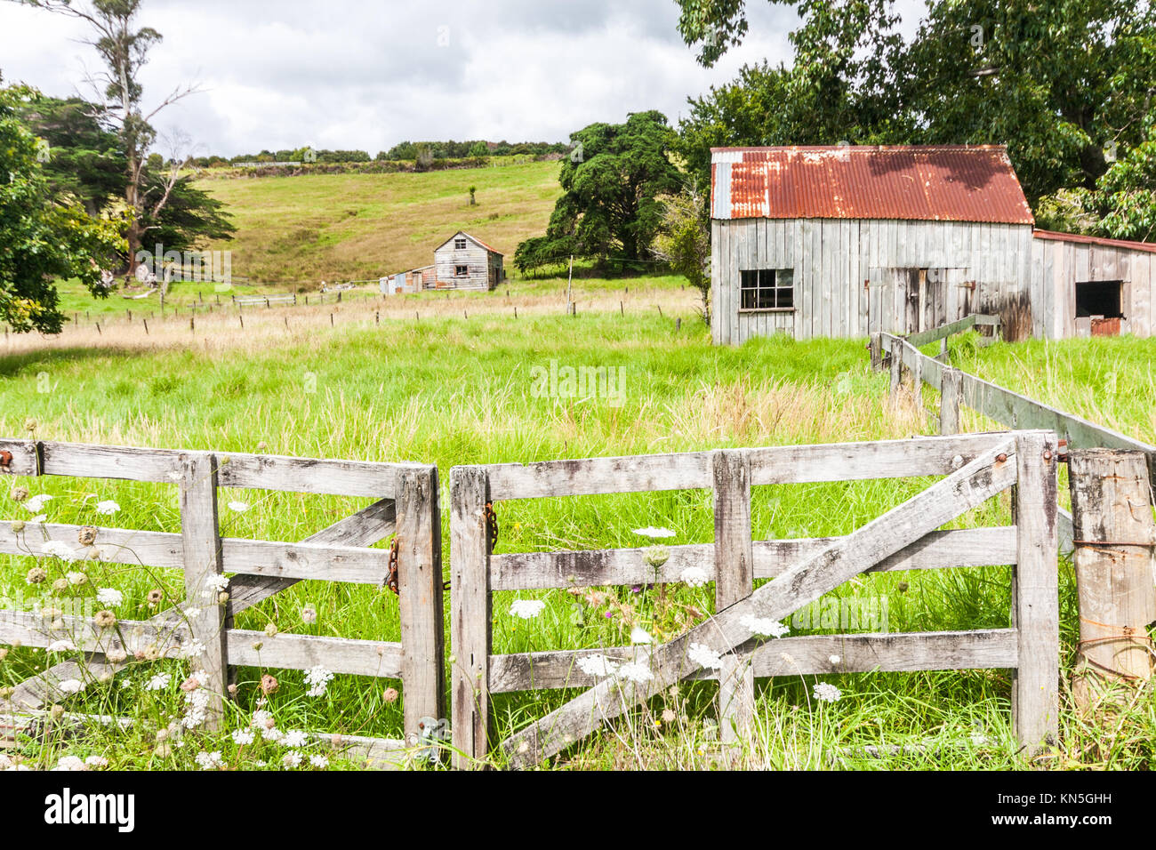 Old farm on the Coromandel Peninsular, North Island, New Zealand Stock ...