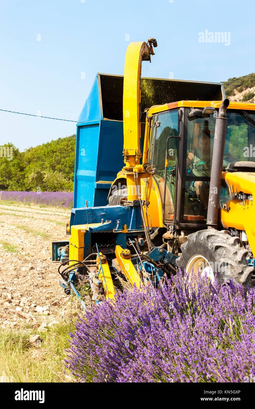 Gathering harvest vehicle hi-res stock photography and images - Alamy