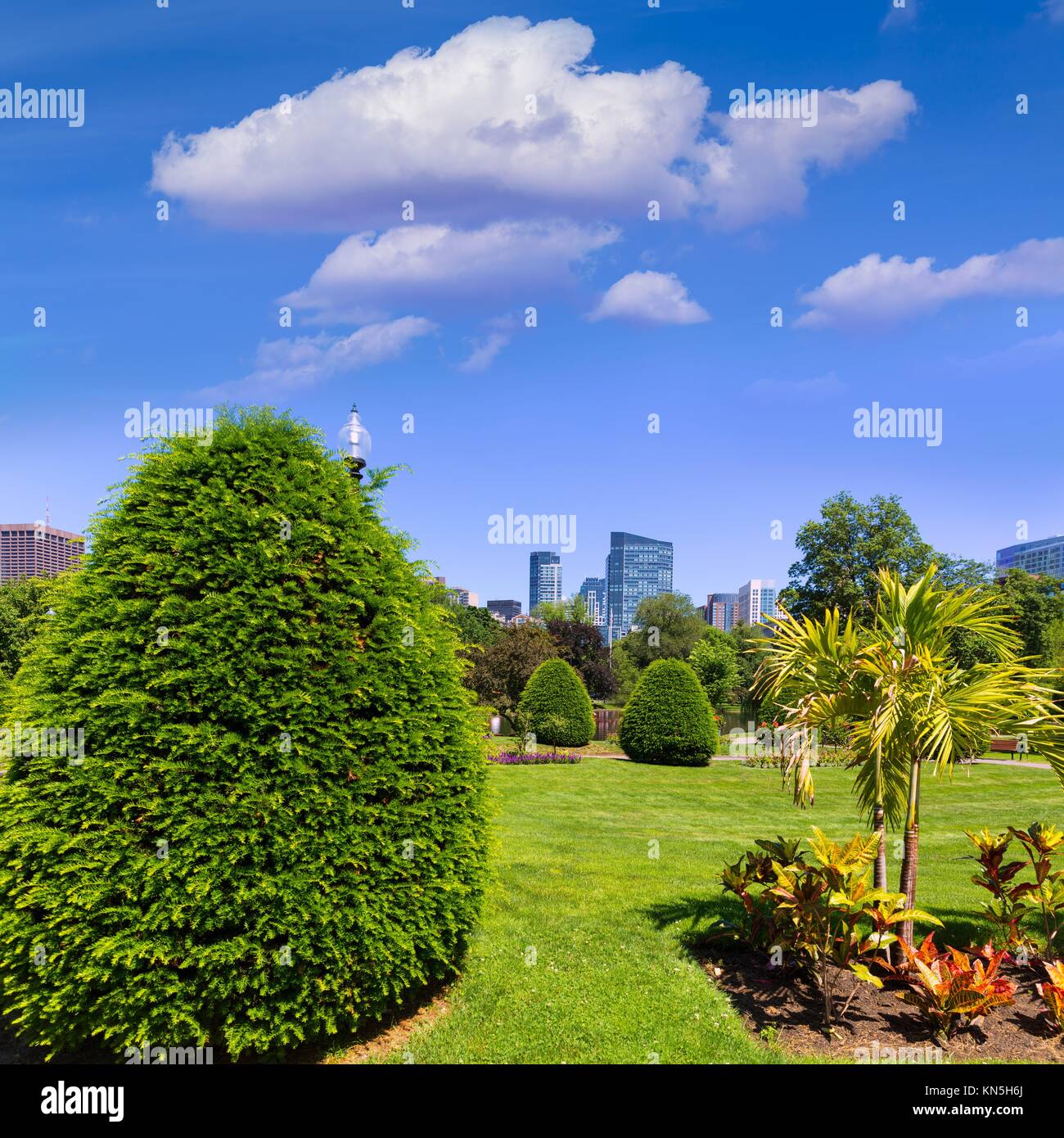 Boston Common park gardens and skyline in Massachusetts USA Stock Photo ...