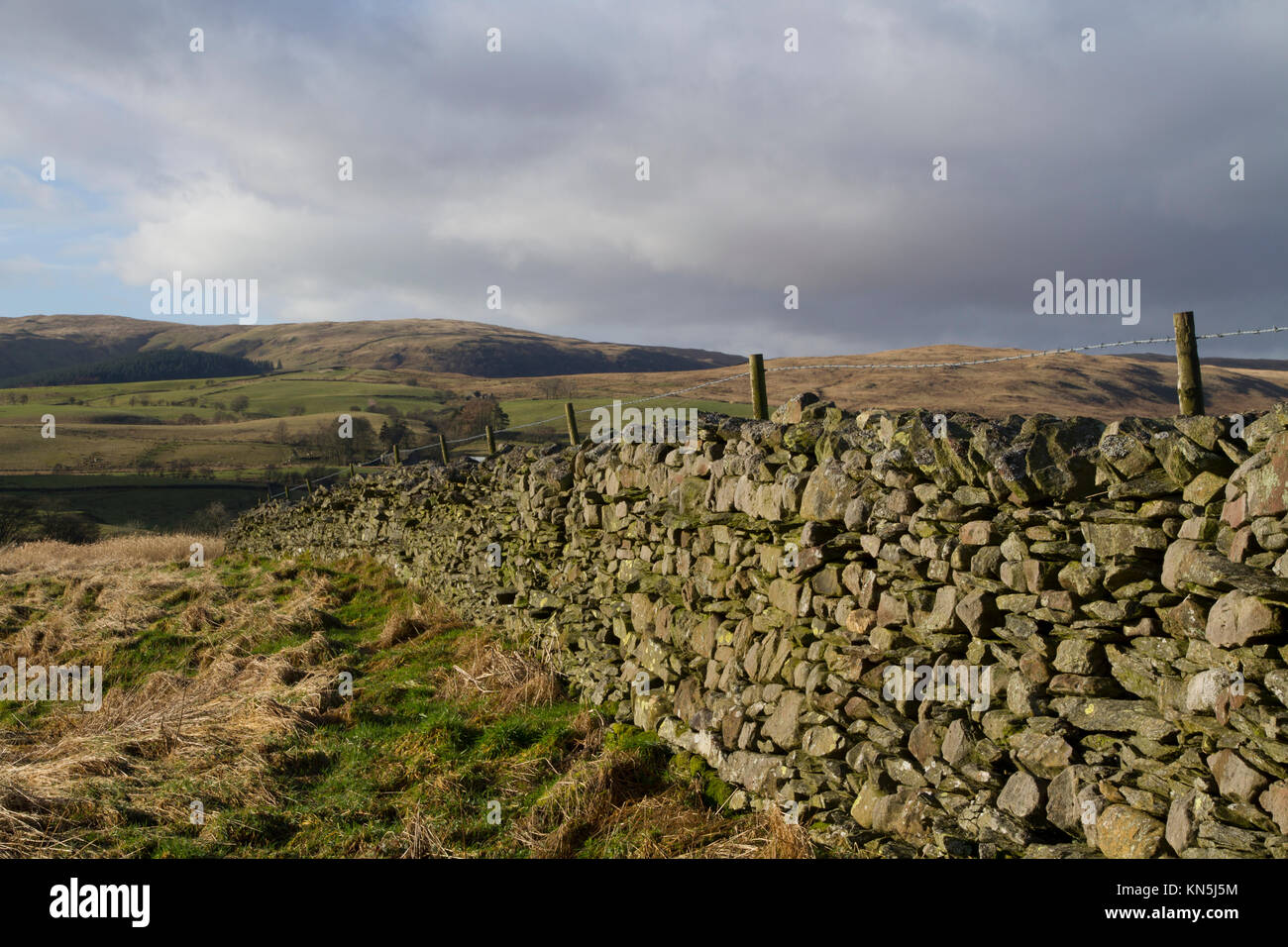 A dry stone wall at Greenholme near Tebay with the Cumbrian fells in ...