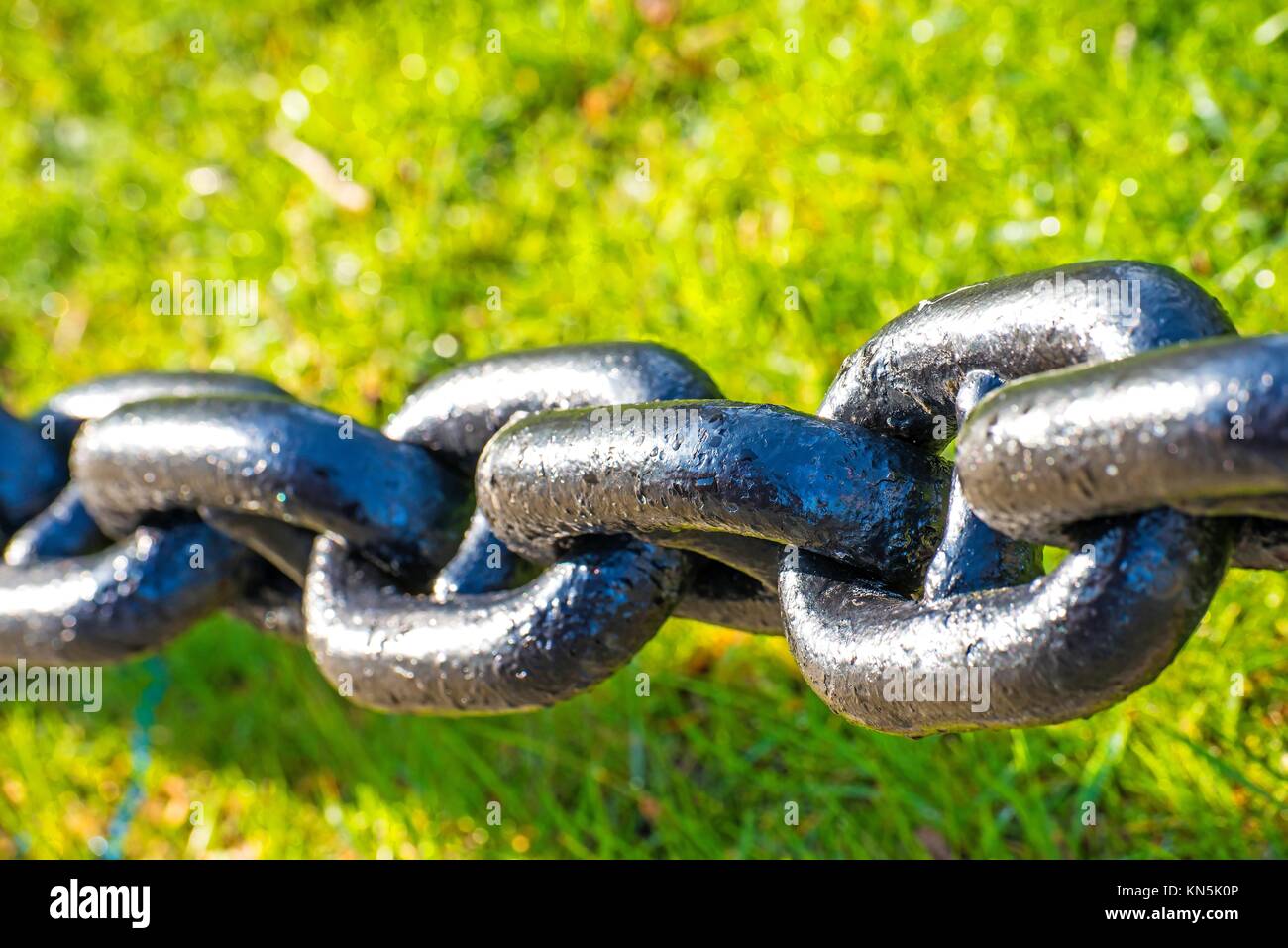 anchor chain in green grass Stock Photo - Alamy