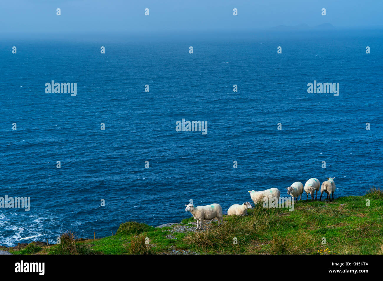 Geokaun Mountain, Valentia Island, Iveragh Peninsula, County Kerry ...