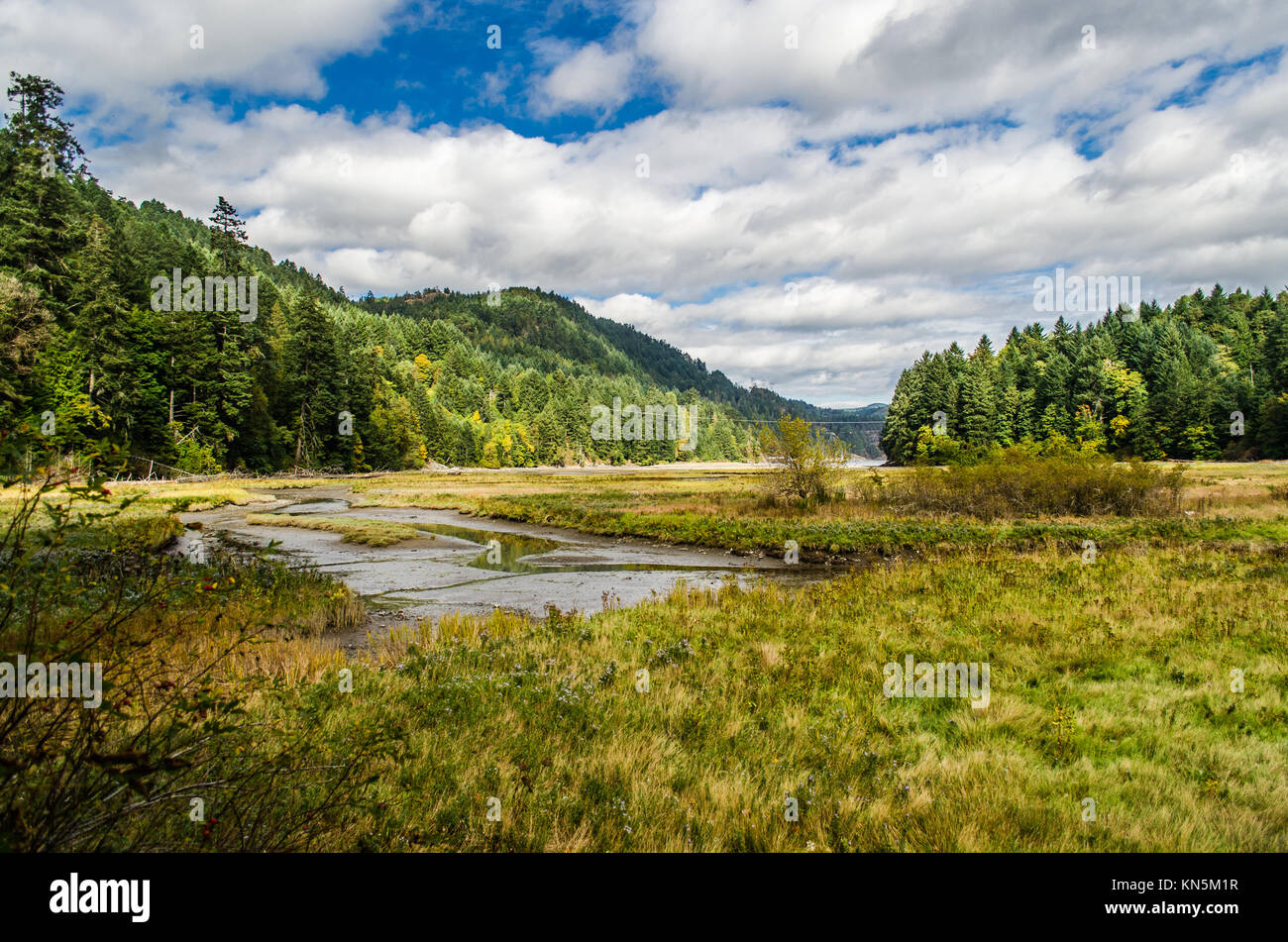 Goldstream Provincial Park, Victoria, Vancouver Island, Canada Stock ...