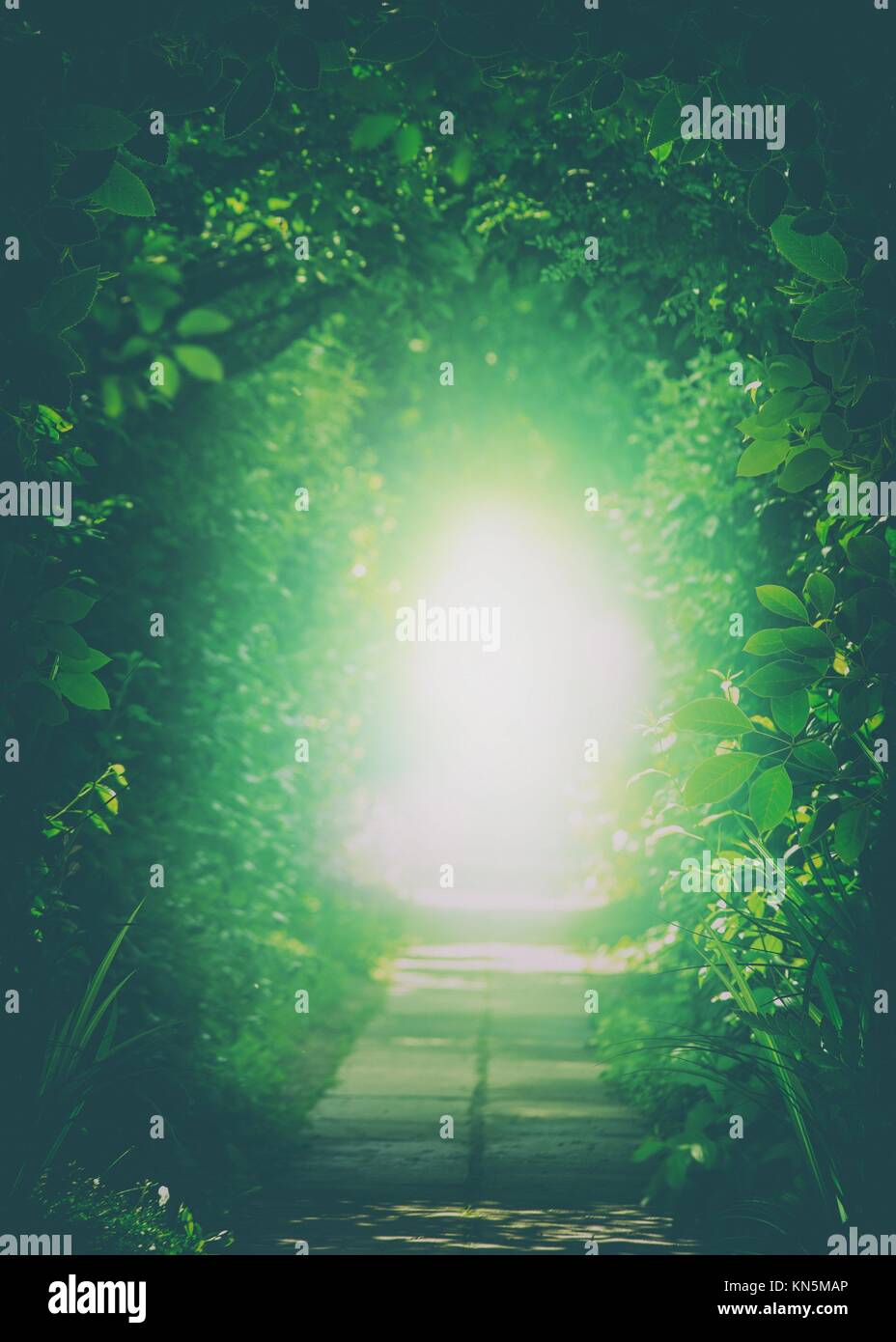 Teleport hi-res stock photography and images - Alamy