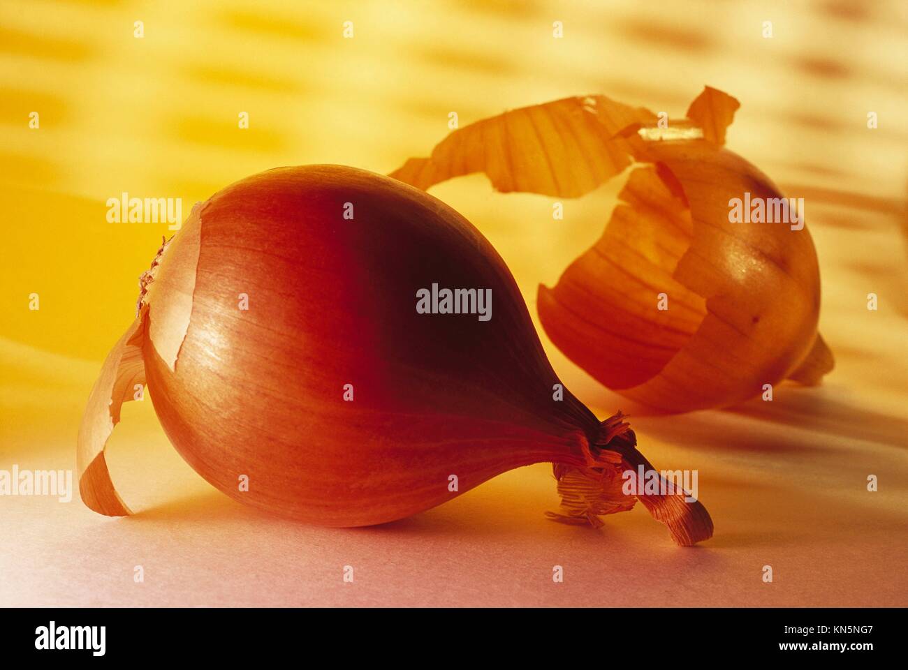 Onion interior hi-res stock photography and images - Alamy