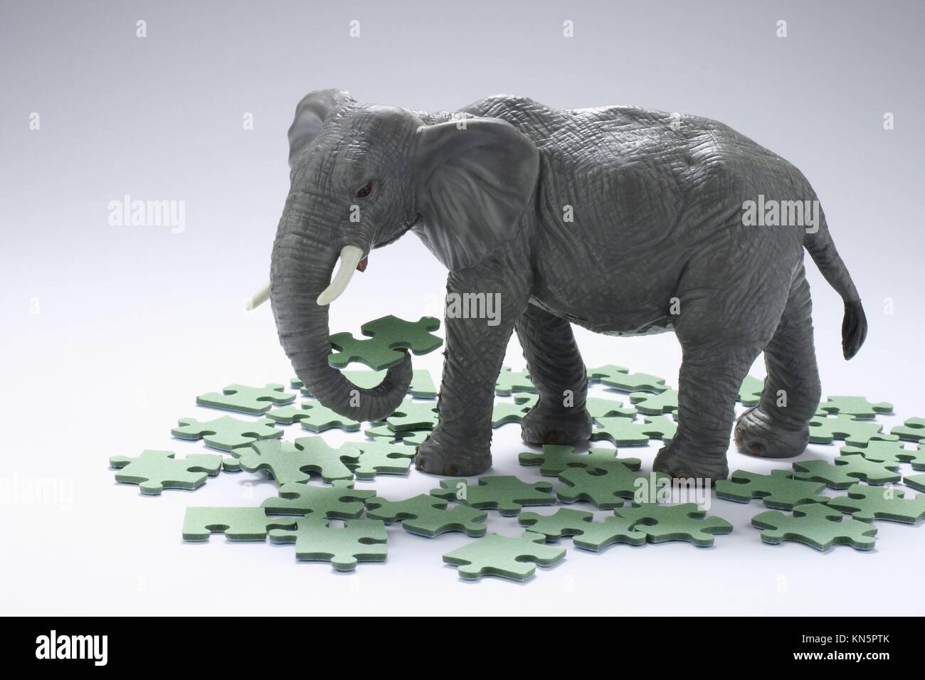 Elephant puzzle pieces hi-res stock photography and images - Alamy