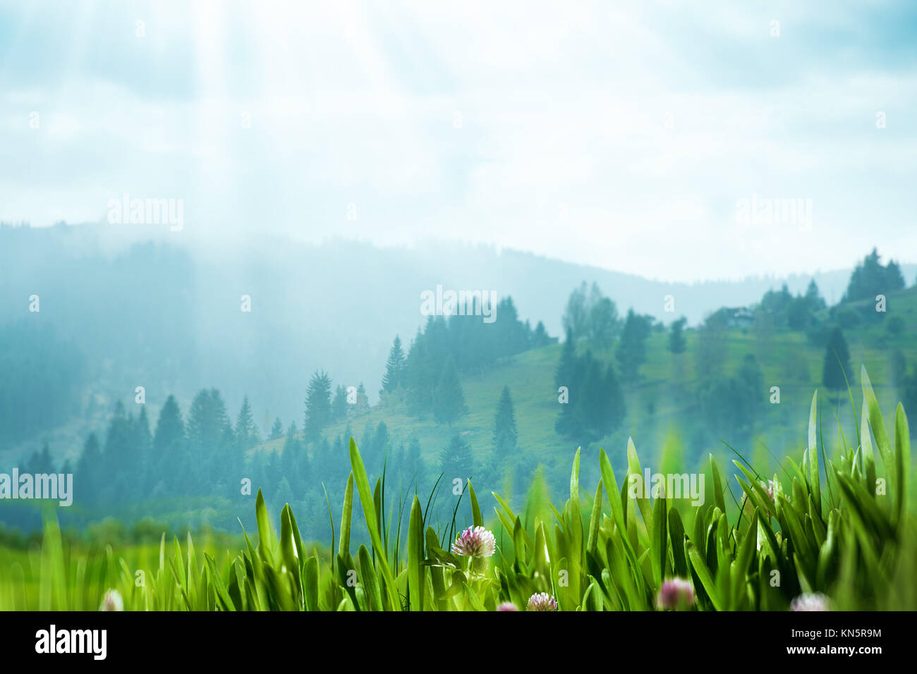 Mist misty green blue hi-res stock photography and images - Alamy
