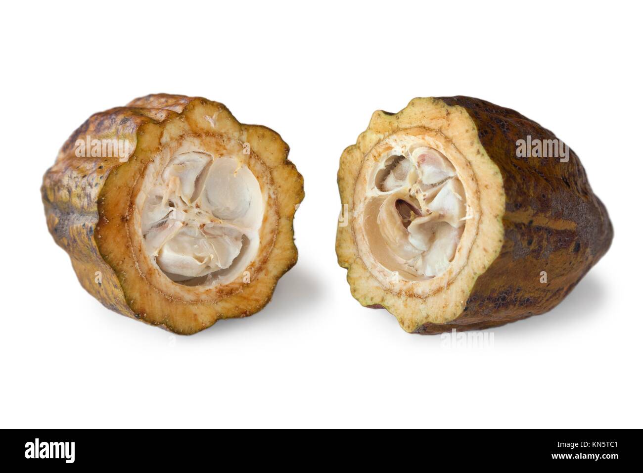 Inside A Cocoa Pod High Resolution Stock Photography and Images - Alamy