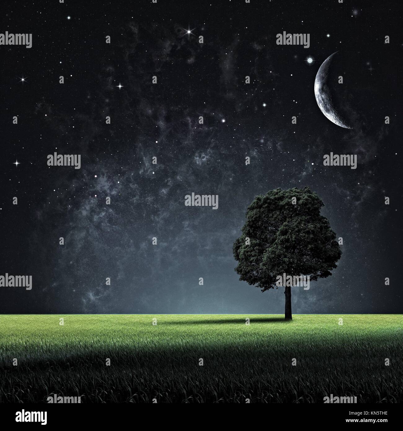 Starry night. Abstract natural background Stock Photo - Alamy